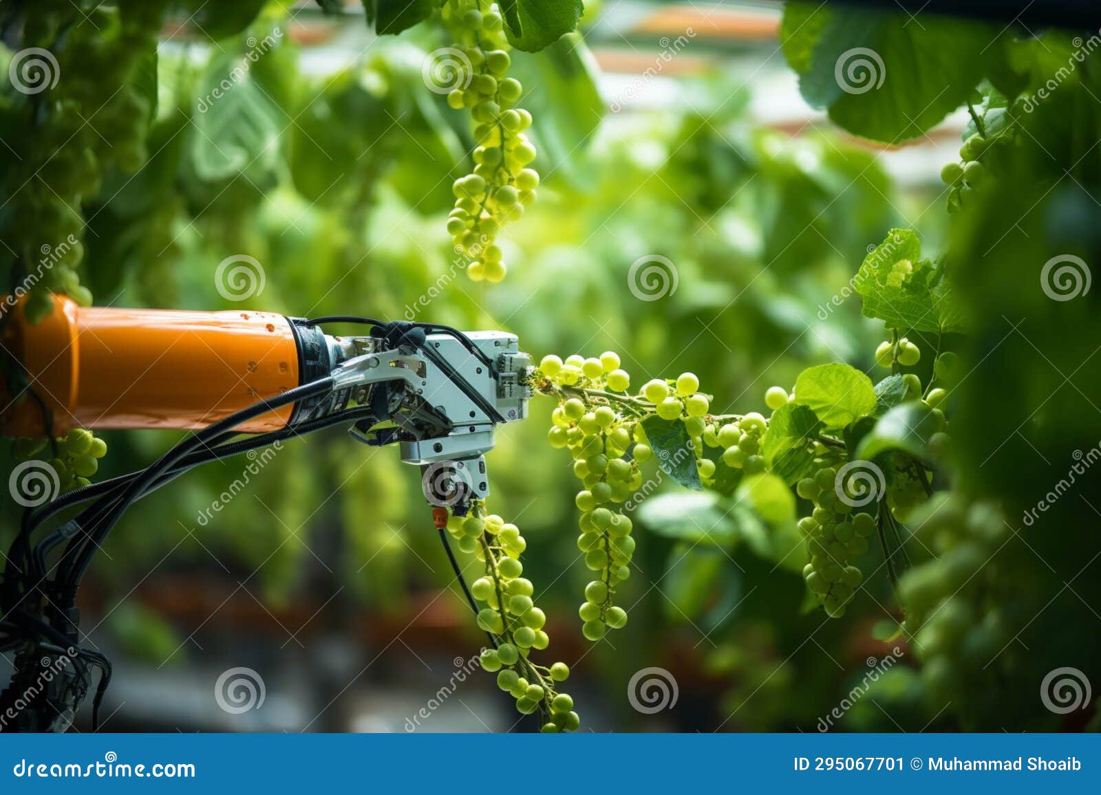 Robotic Arm Transforms Smart Farming, Expertly Picking Grapefruit, a ...