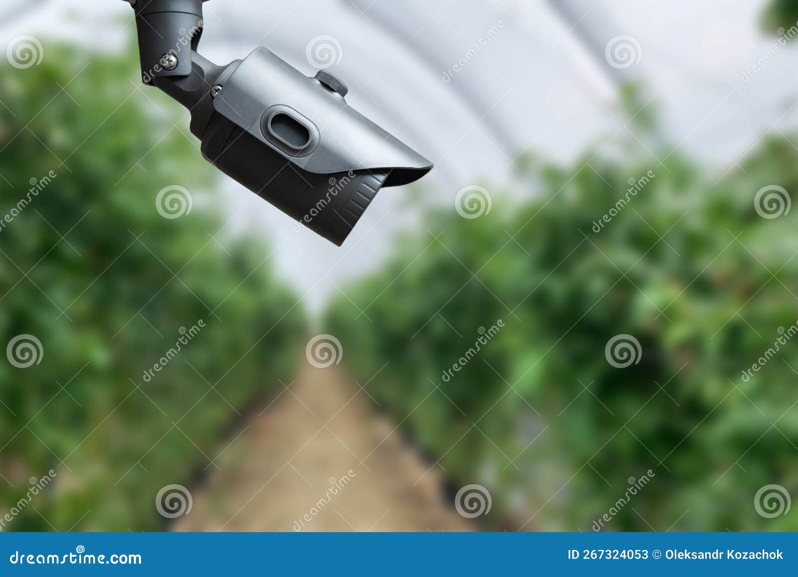Robotic and CCTV Camera on Smart Green House . Stock Image - Image of ...