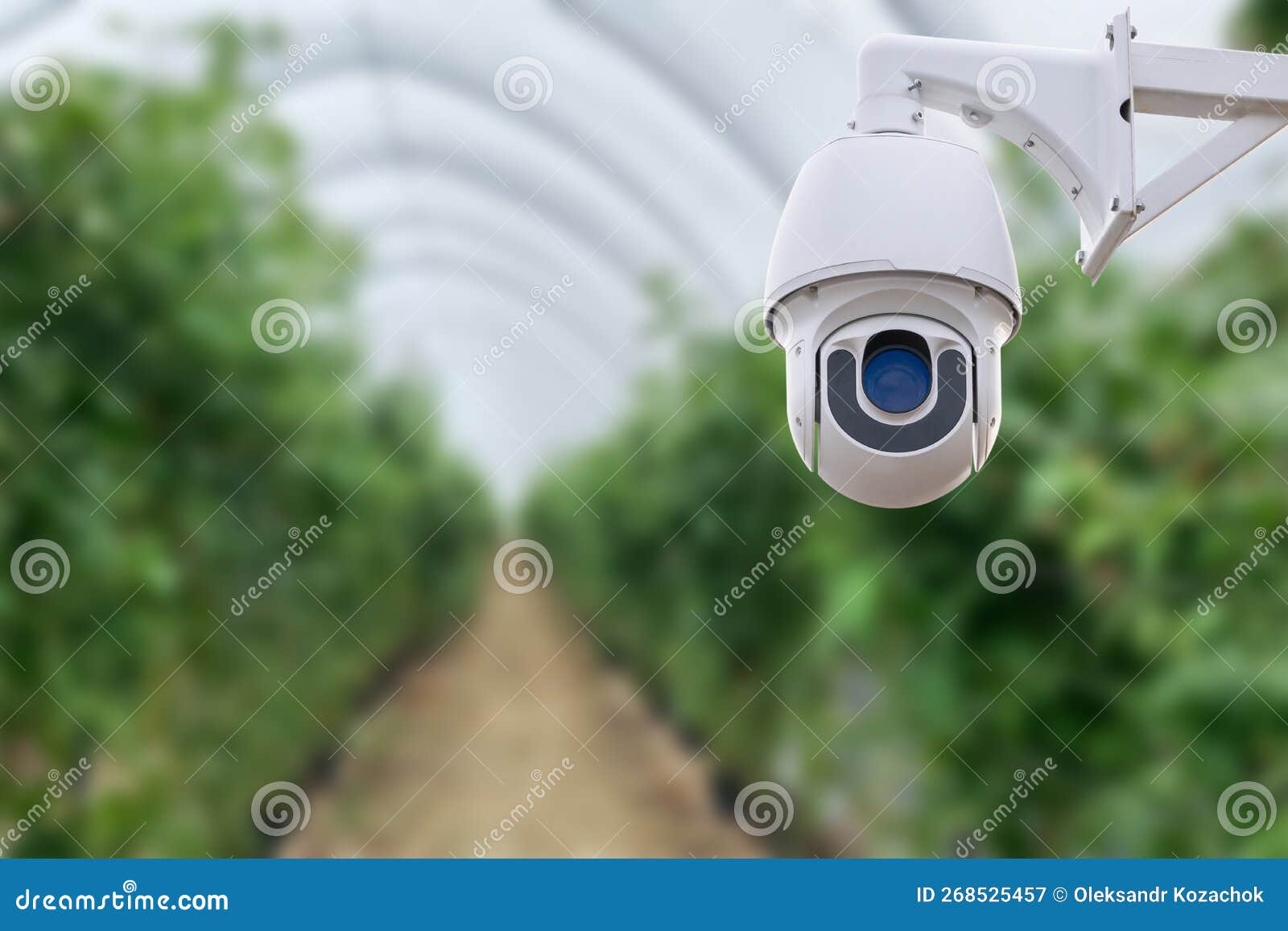 Robotic and CCTV Camera on Smart Green House . Stock Illustration ...