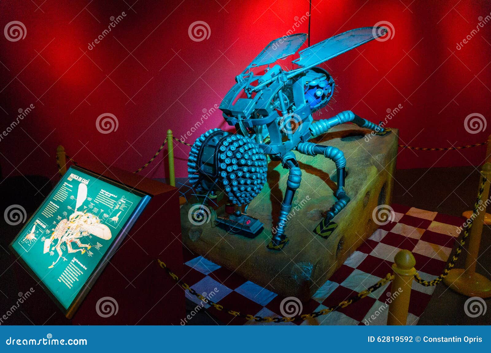 Robotic insect stock photo. Image of romania, details - 62819592