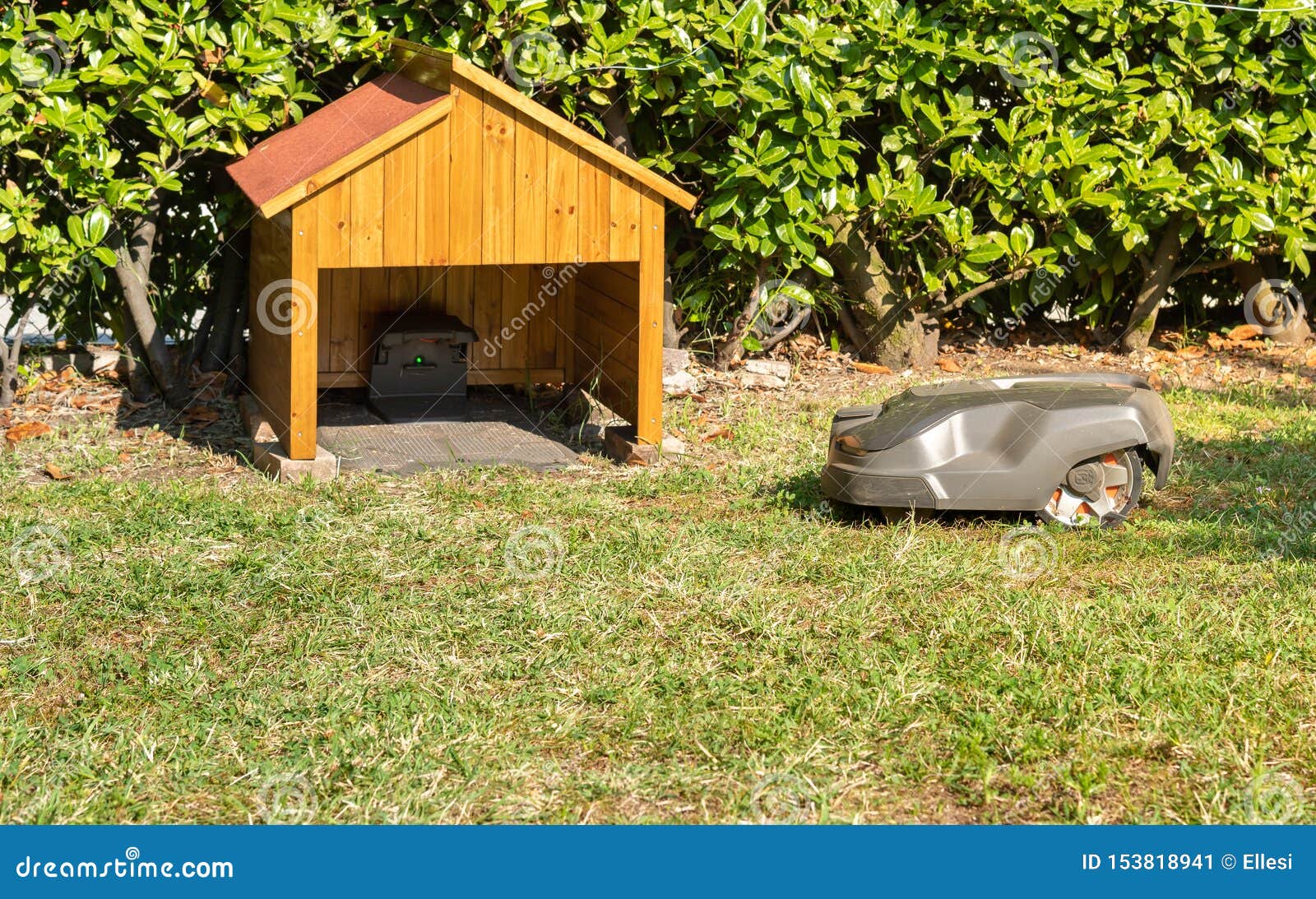 Robotic Lawn Mower Cutting Grass in the Garden Stock Image - Image of ...