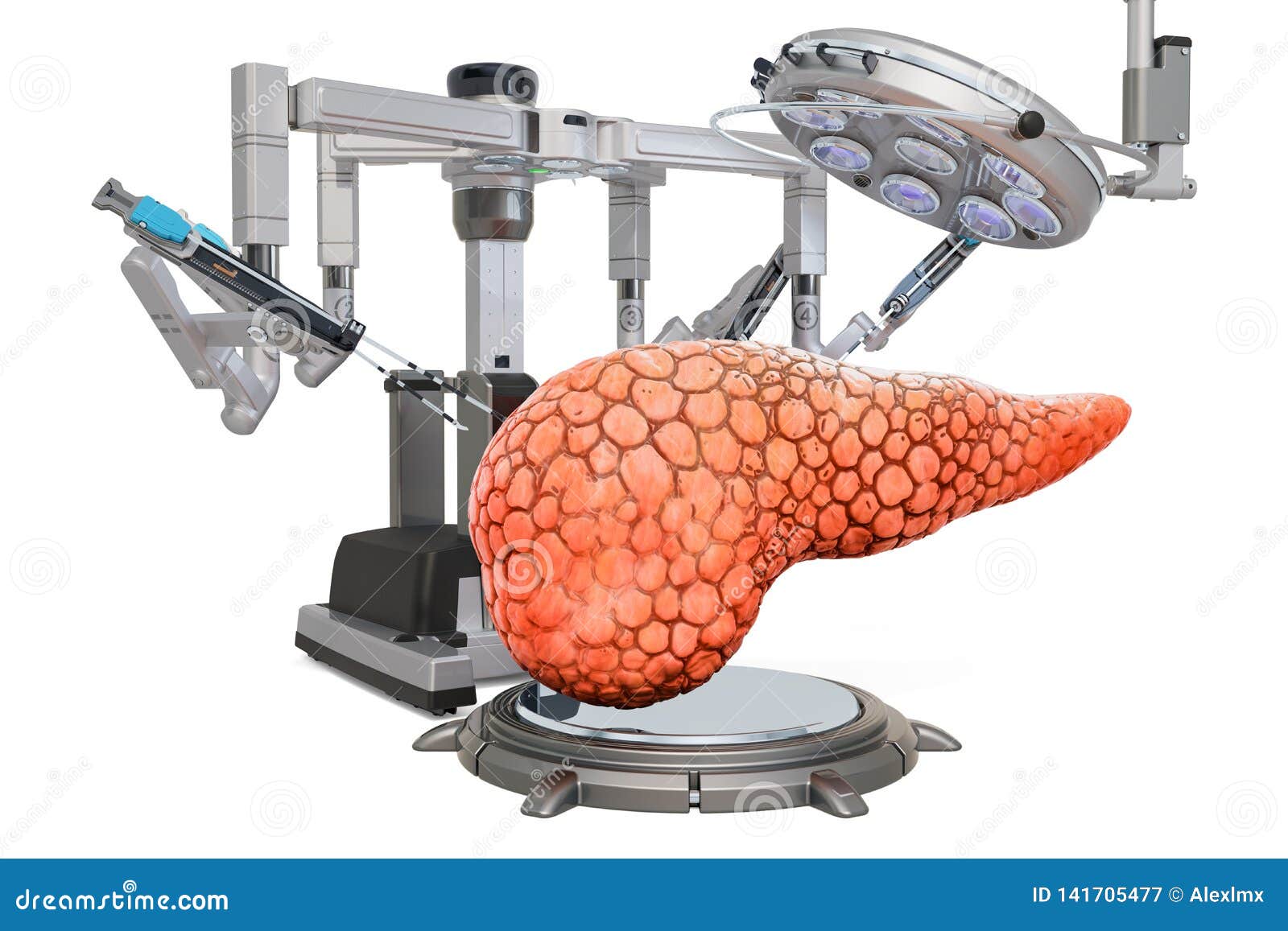 Pancreas Concept. A Large Group Of People Form To Create A Shape ...