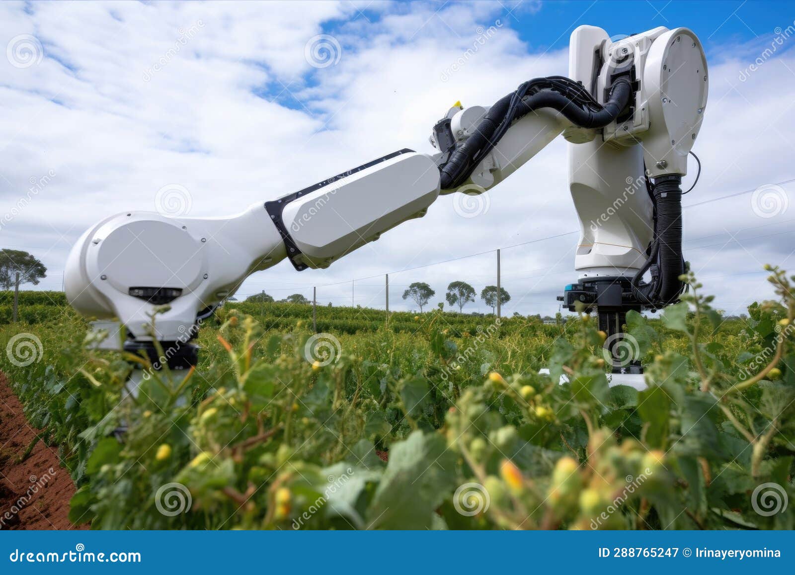 Robotics and Artificial Intelligence for Agriculture. Autonomous ... Robotics and Artificial Intelligence for Agriculture. Autonomous ...