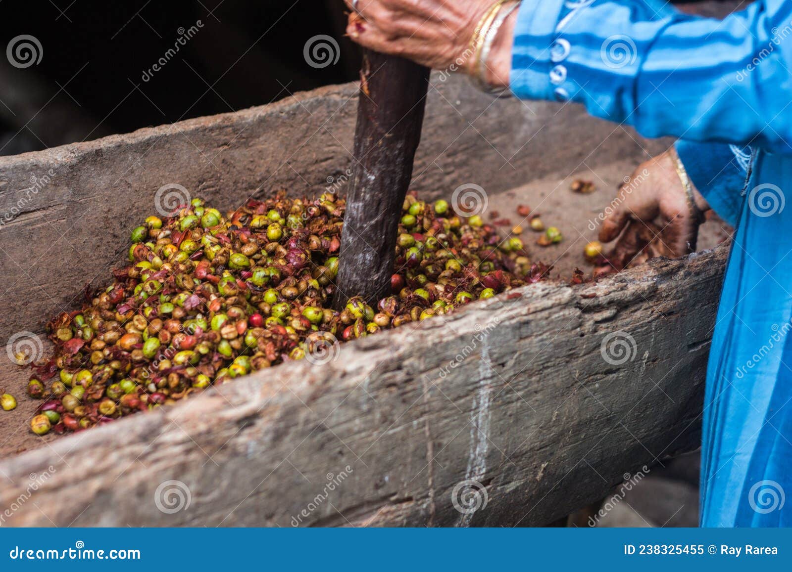 Robusta Coffee Bean Grinding Process Stock Image - Image of leaf ...