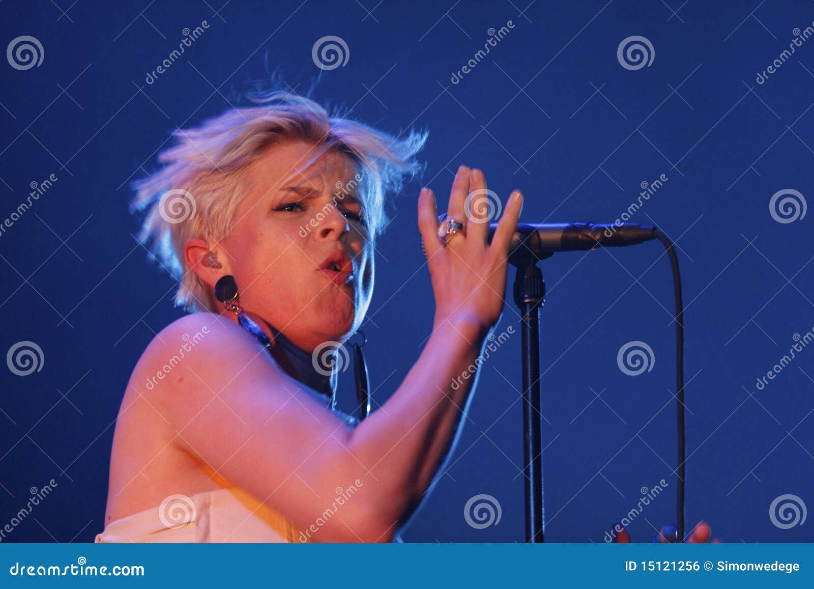 Robyn Editorial Photo - Image: 15121256