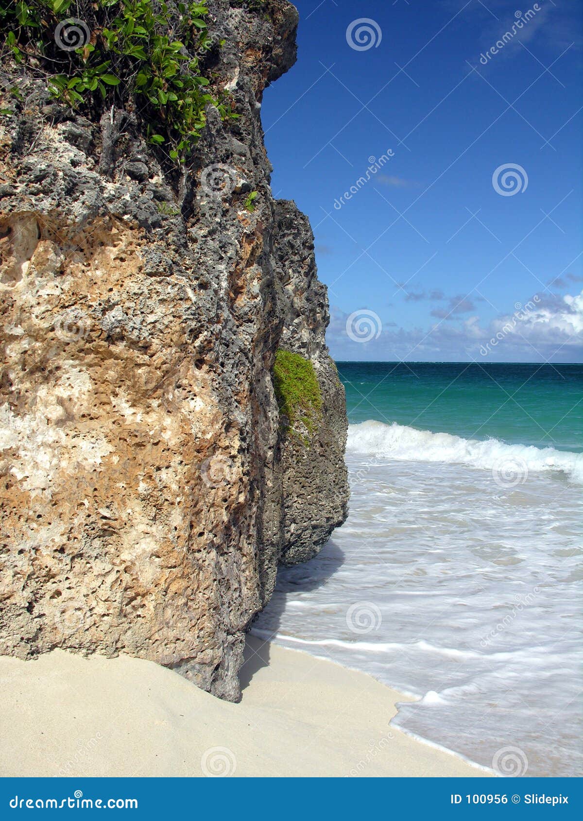 Roca coralina foto de archivo. Imagen de roca, blanco, isla - 100956