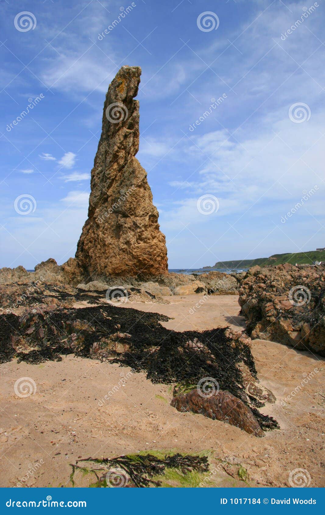 Roca De La Aleta De La Ballena Imagen. Imagen: 1017184