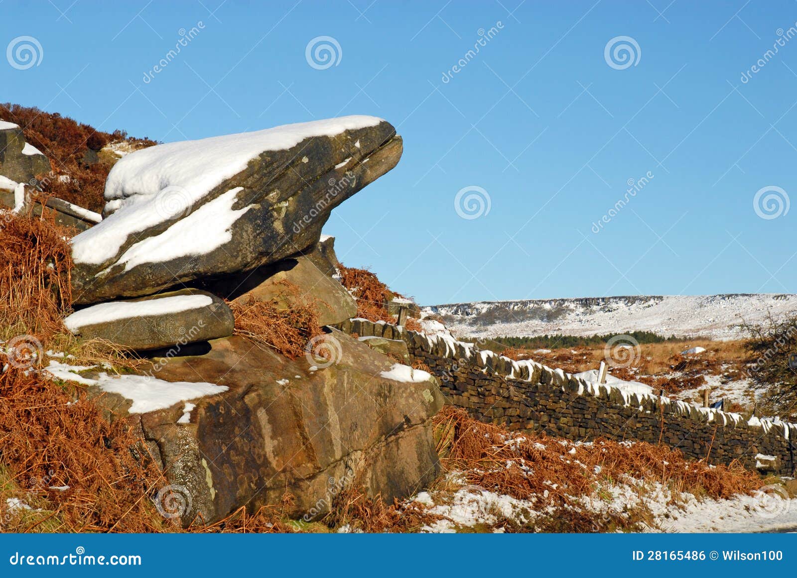 Roca De La Boca De Los Sapos, Derbyshire Foto de archivo - Imagen de ...