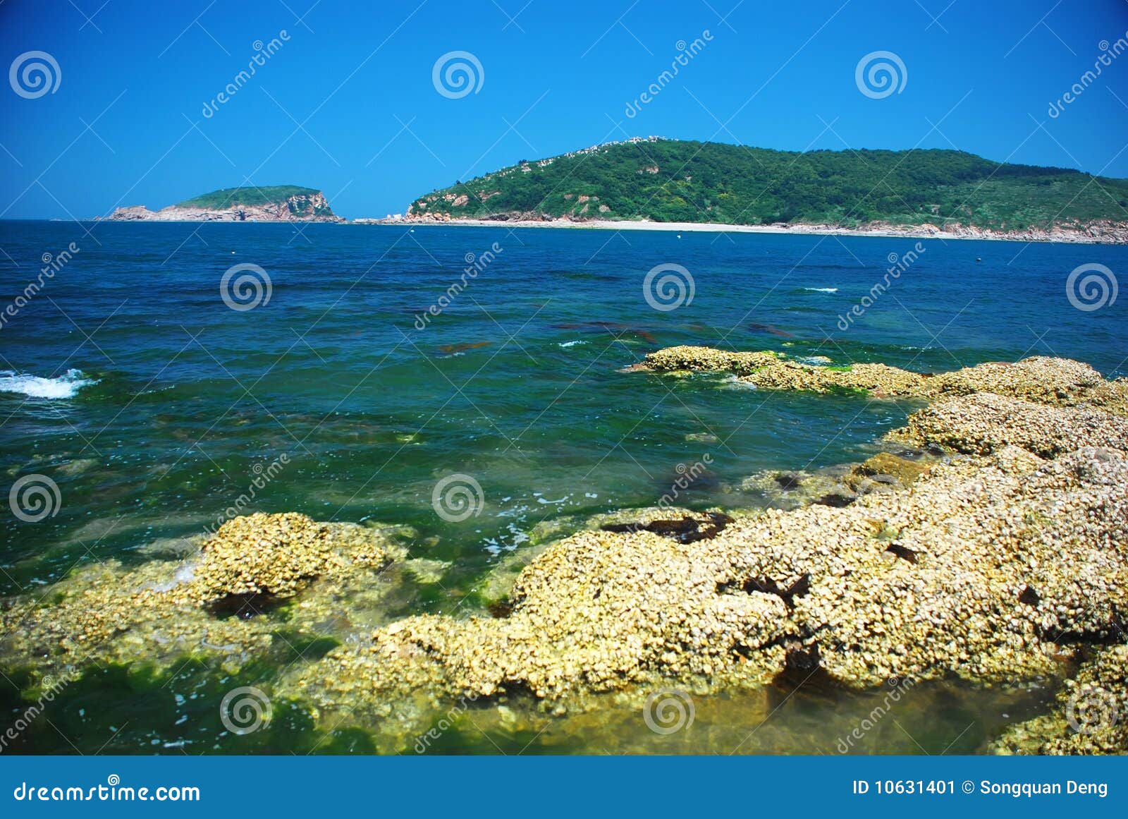 Roca Del Coral De La Isla Y Del Mar Imagen de archivo - Imagen de ...