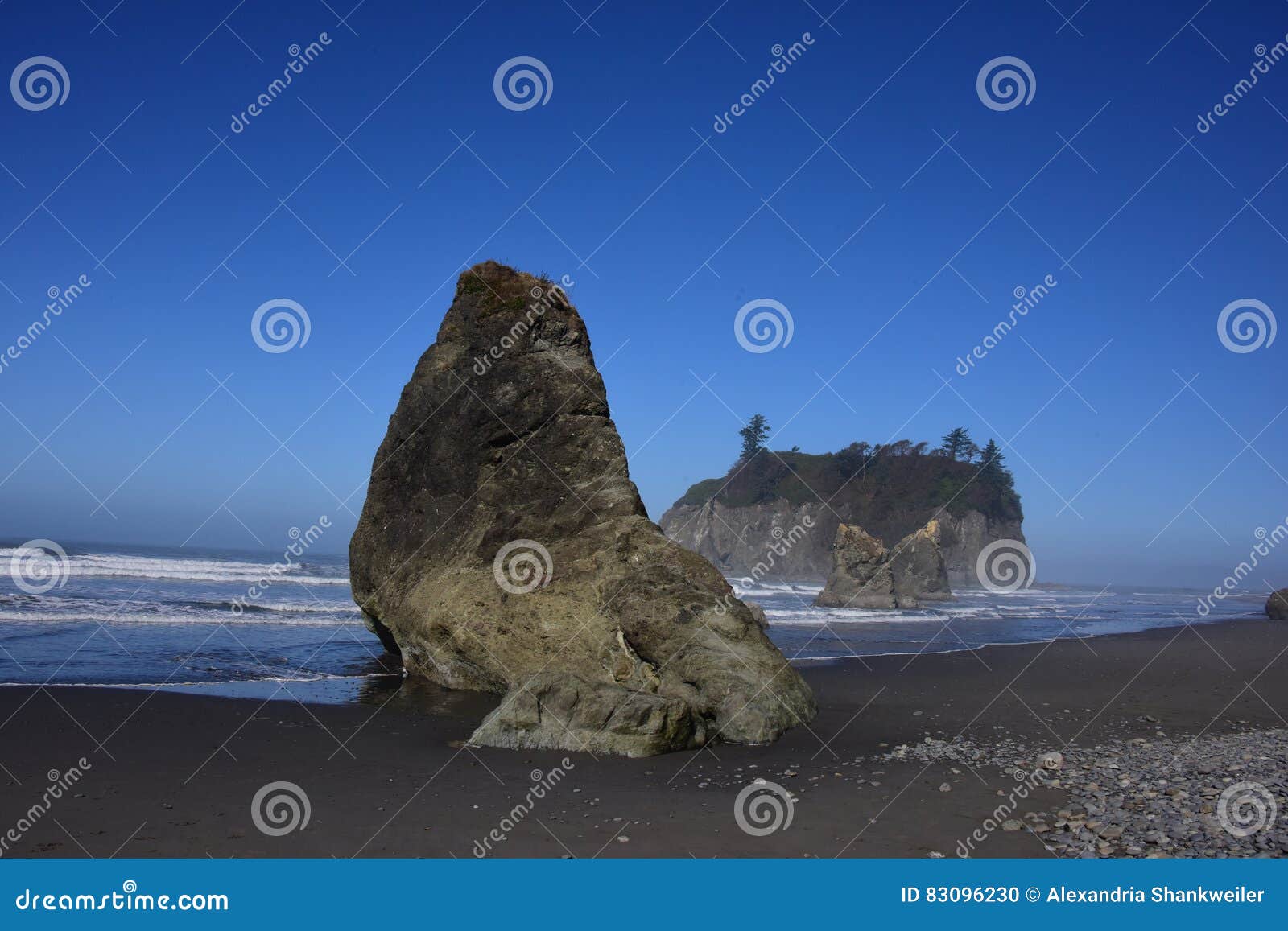Roca del sello foto de archivo. Imagen de azul, asombroso - 83096230