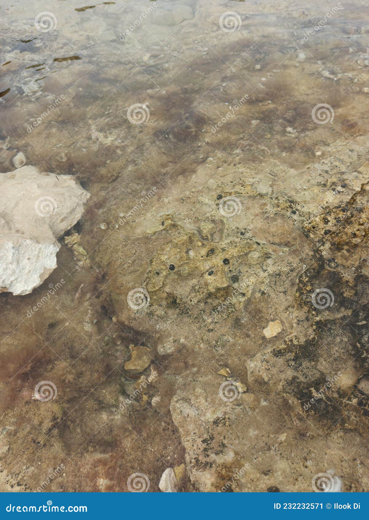 Roca marina imagen de archivo. Imagen de roca, cubo - 232232571