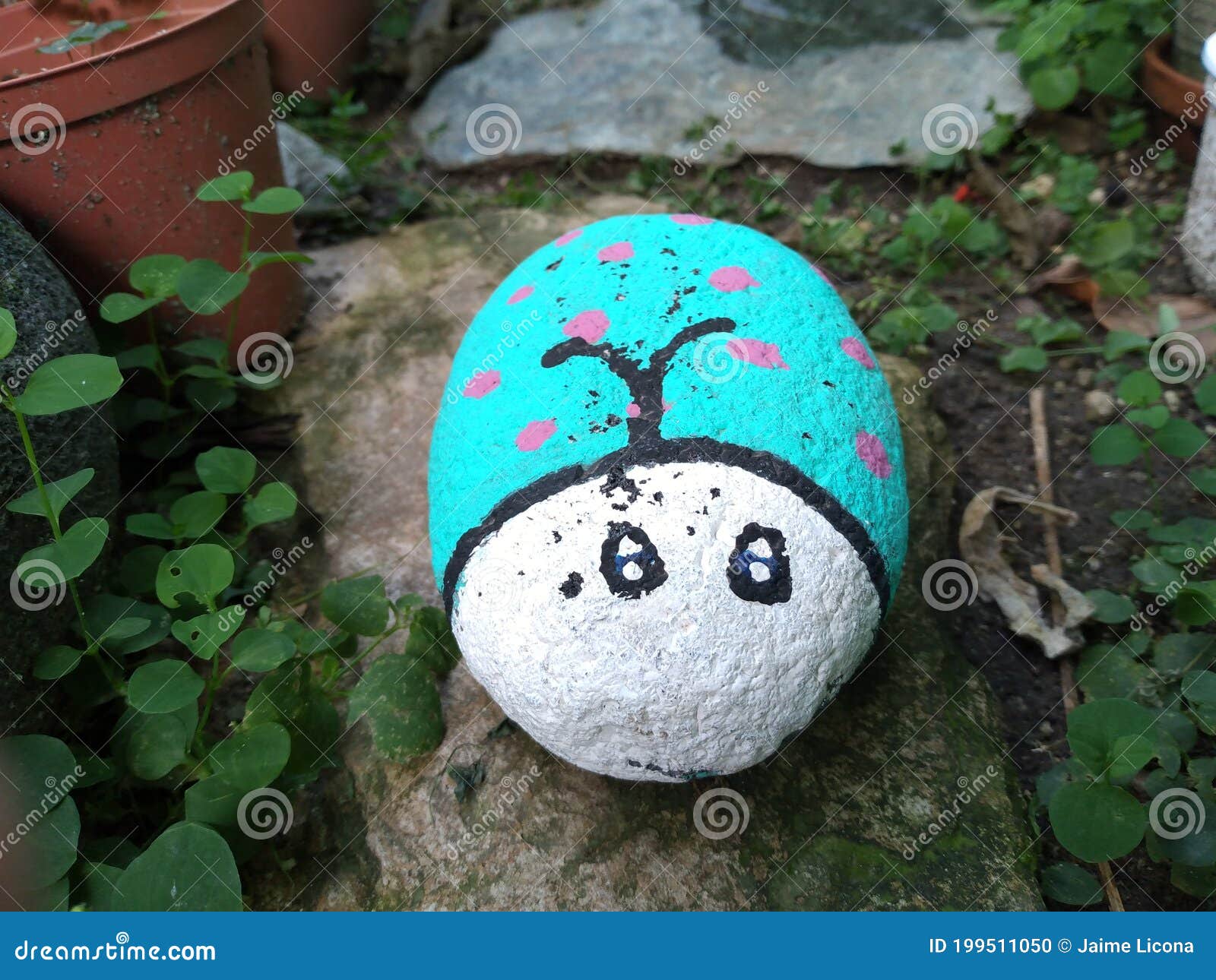 Roca Leaf Stock Photos - Free & Royalty-Free Stock Photos from Dreamstime