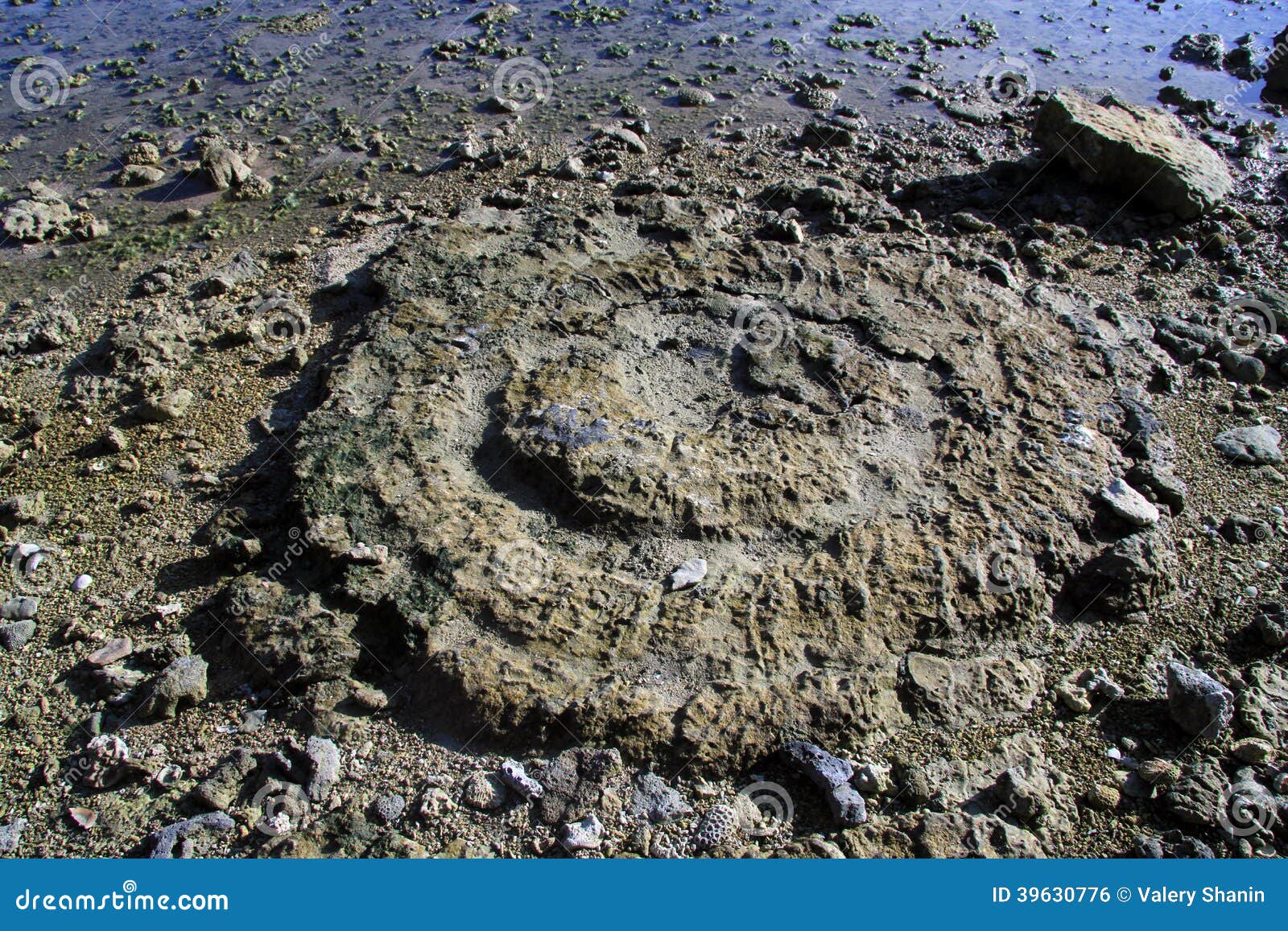 Roca redonda foto de archivo. Imagen de playa, orilla - 39630776
