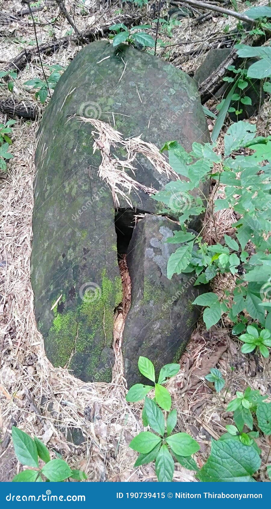 Roca rota con fisura. imagen de archivo. Imagen de suelo - 190739415