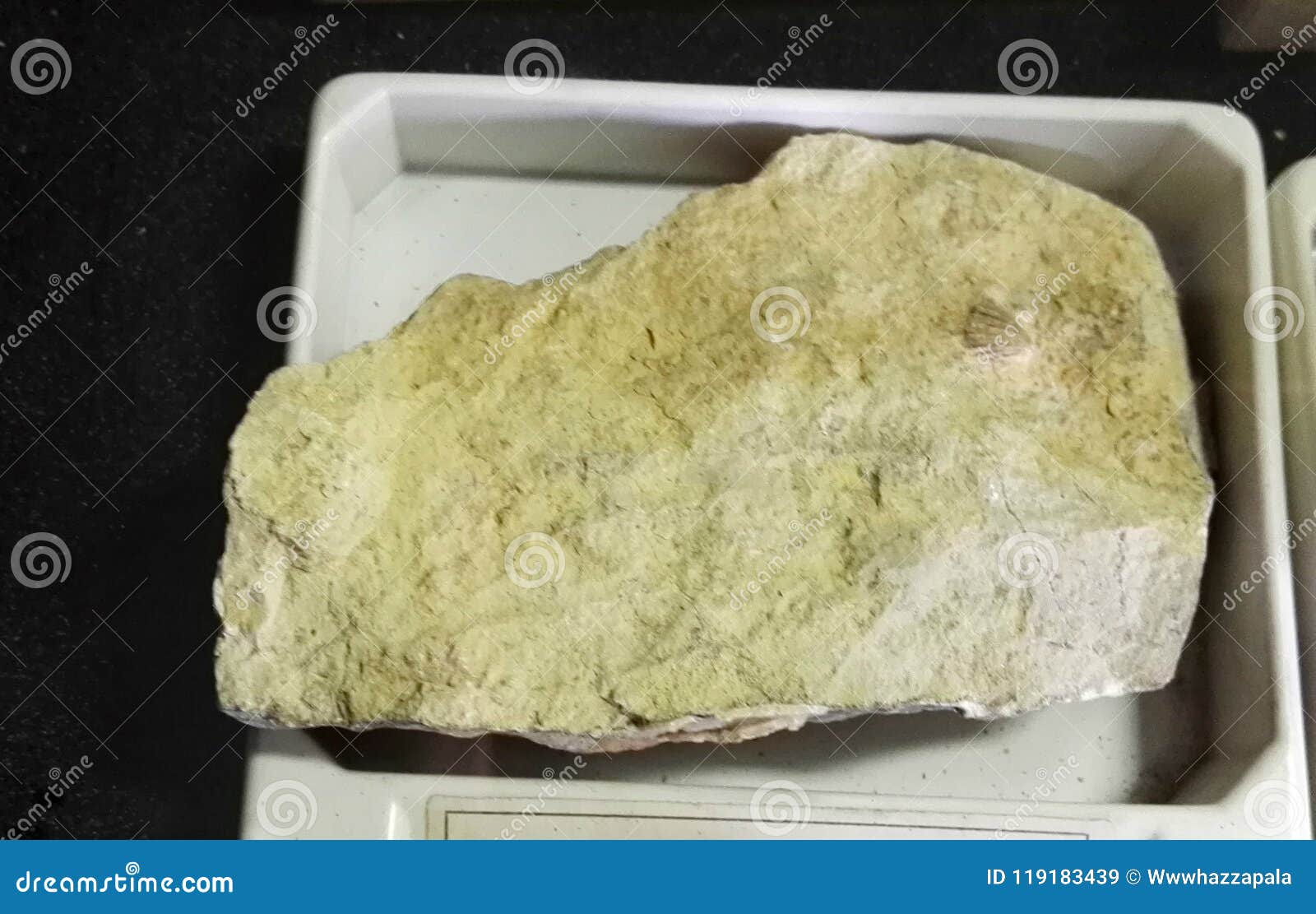 Roca Sedimentaria Del Travertino Imagen de archivo - Imagen de ...