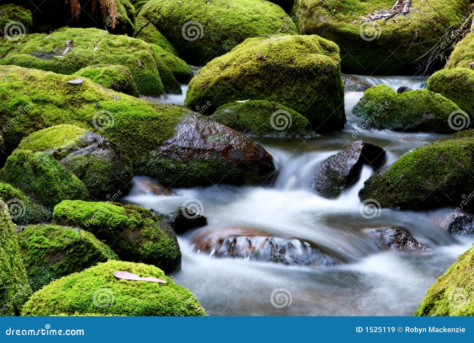Rocas Cubiertas De Musgo Del Río Imagen de archivo - Imagen de cala ...