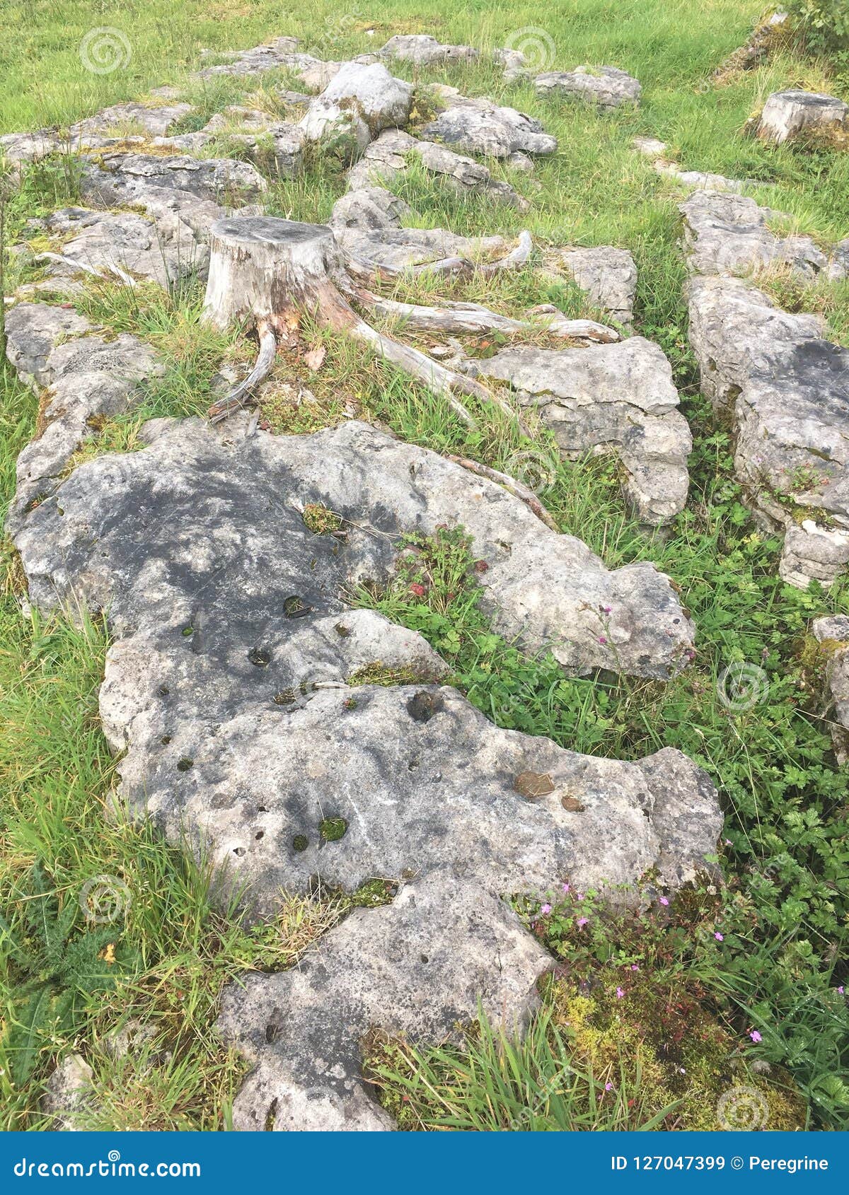 Rocas de la piedra caliza imagen de archivo. Imagen de caliza - 127047399