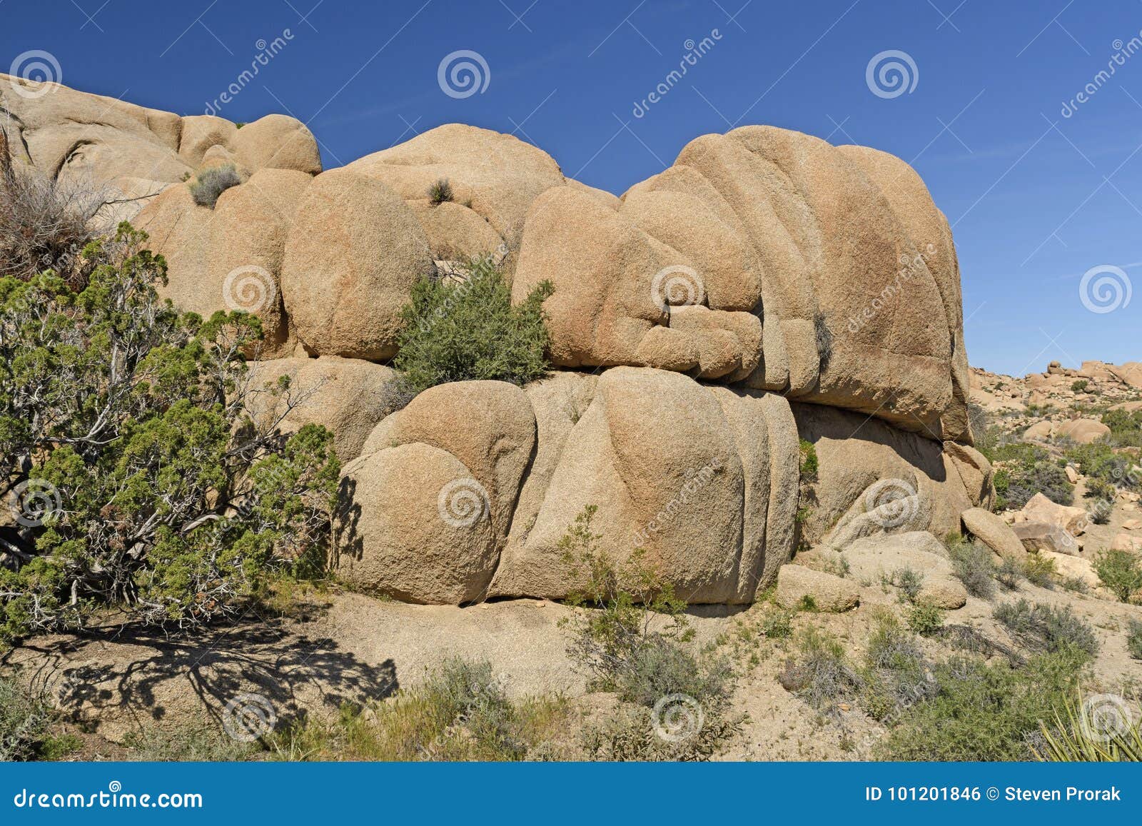 Rocas Del Tiempo En El Desierto Foto de archivo - Imagen de salvaje ...