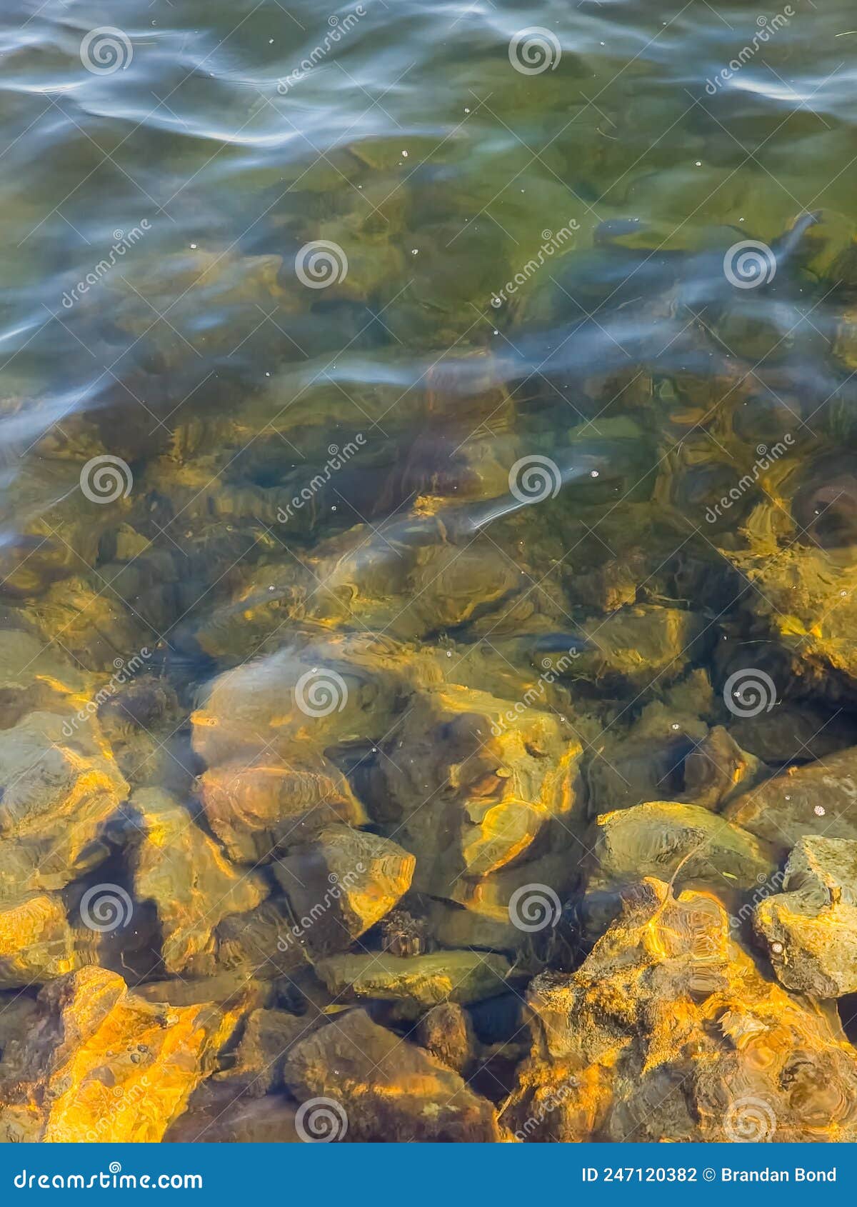 Rocas en el agua foto de archivo. Imagen de planta, roca - 247120382
