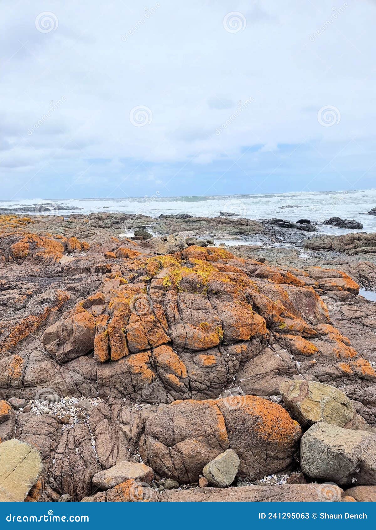 Rocas Recubiertas De Algas Naranjas a Orillas Del Mar Sobre Una ... Rocas Recubiertas De Algas Naranjas a Orillas Del Mar Sobre Una ...