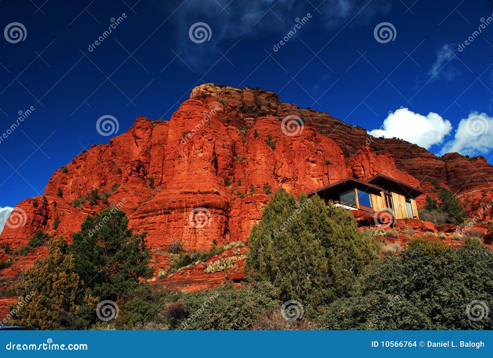 Rocas rojas de Sedona foto de archivo. Imagen de planta - 10566764