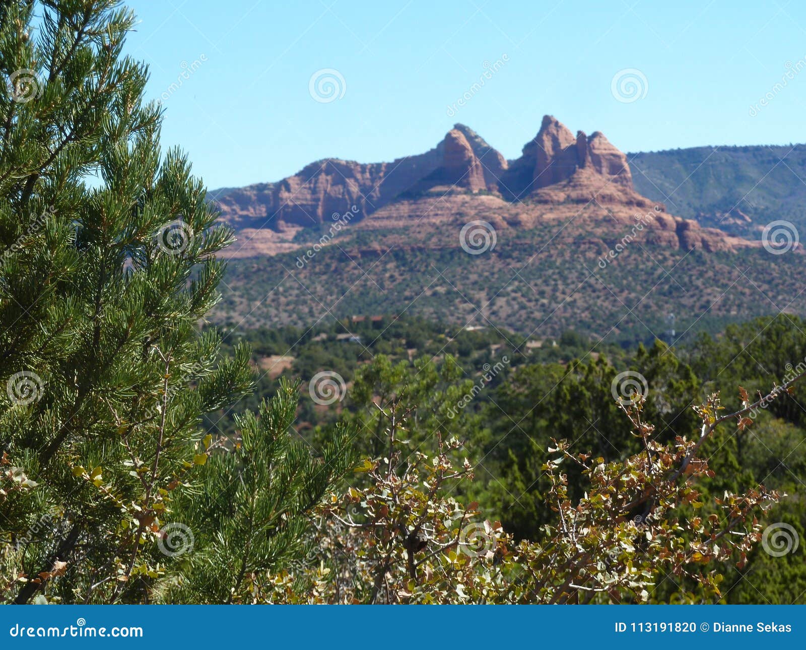 Rocas Rojas De Sedona, Arizona Foto de archivo - Imagen de rastro ...