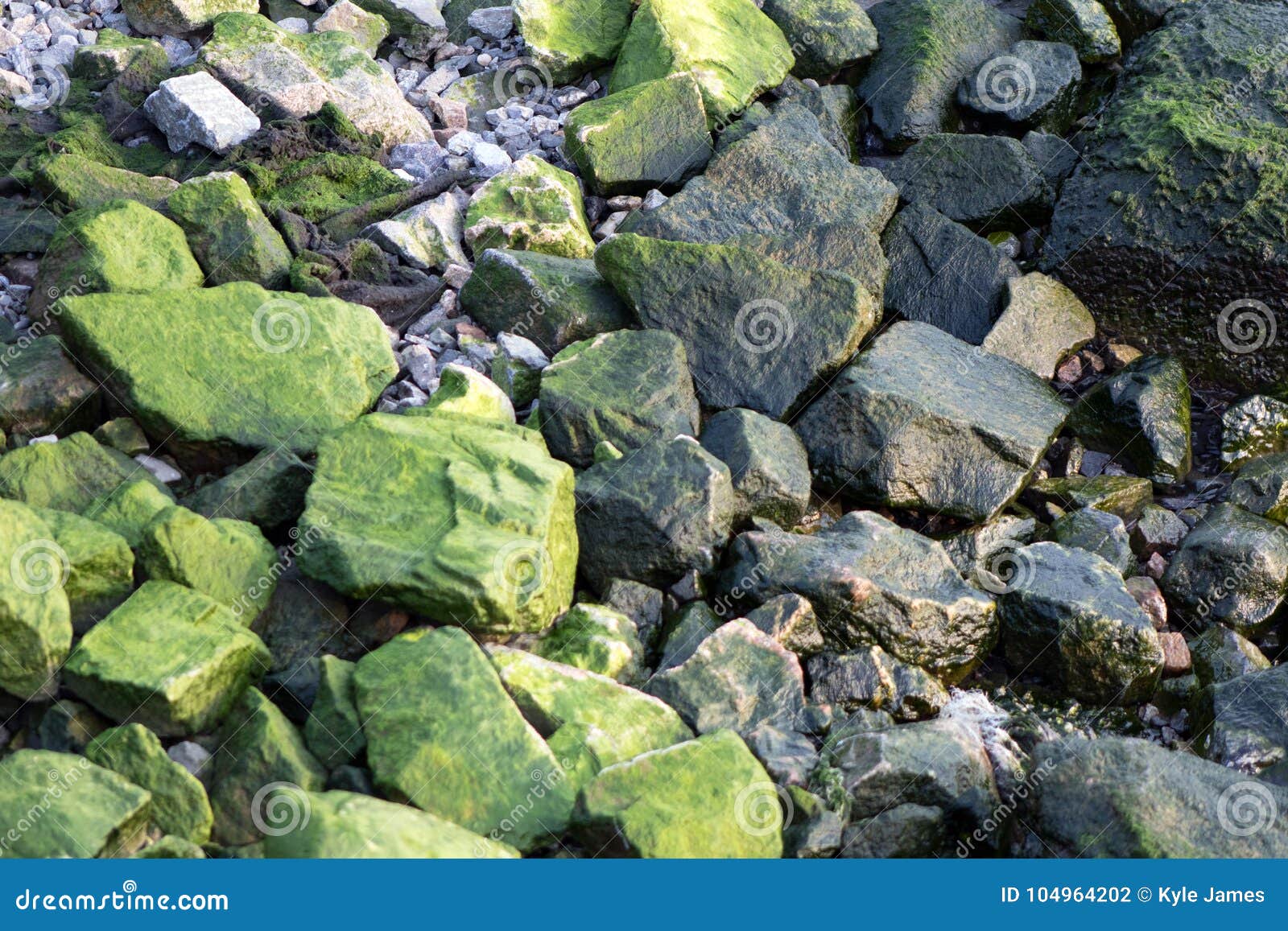 Rocas verdes foto de archivo. Imagen de rocas, gato - 104964202