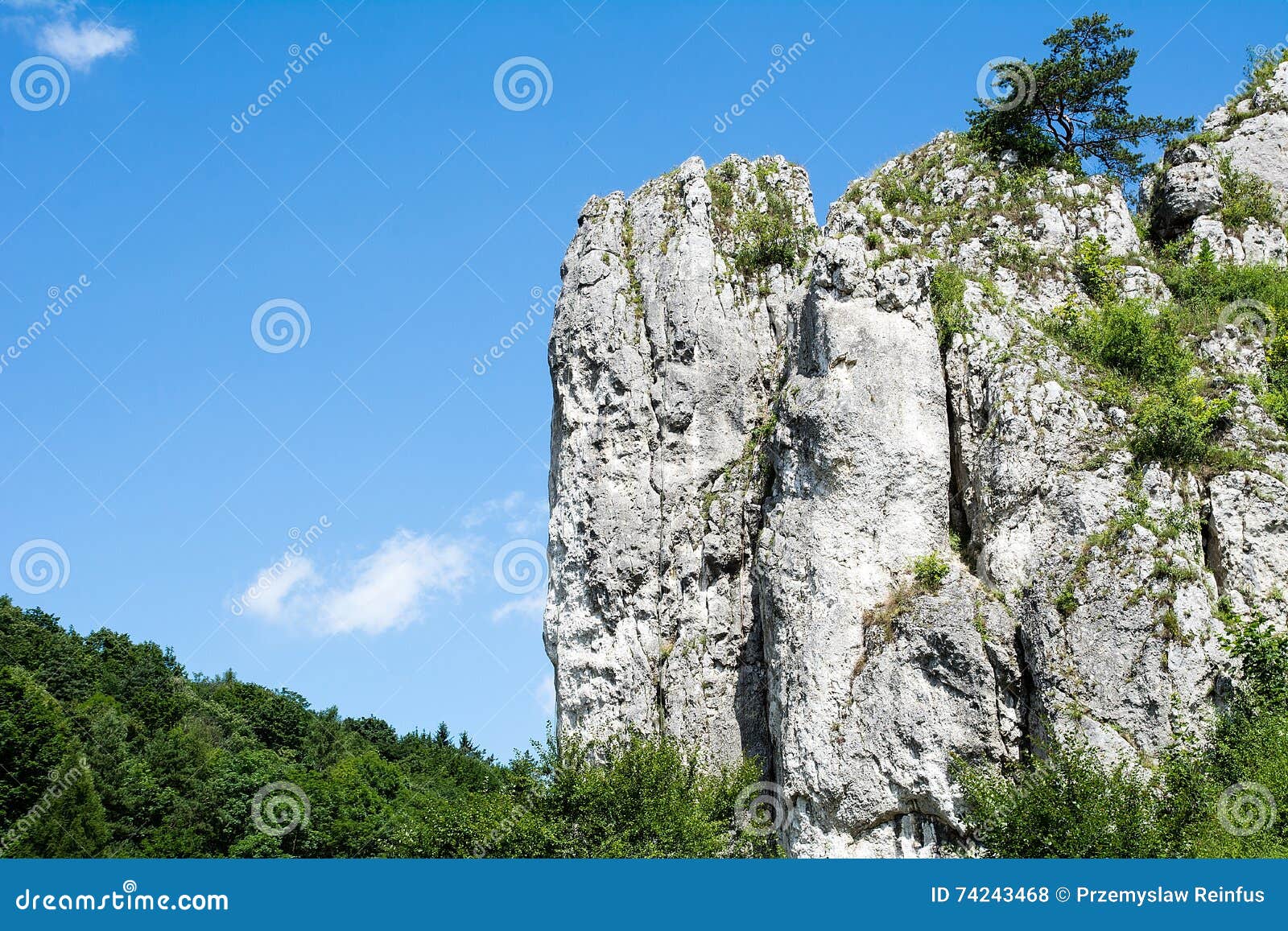 Rocce del calcare fotografia stock. Immagine di polonia - 74243468