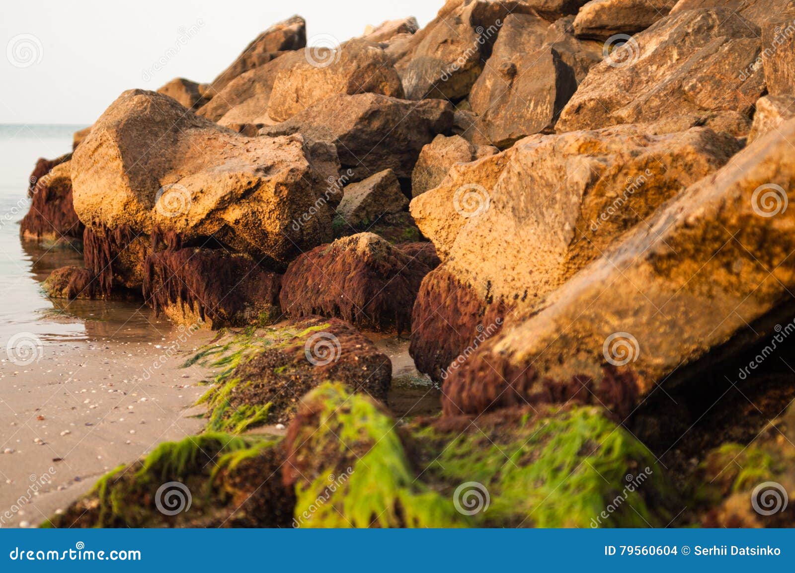 Rocce Del Mare Coperte Di Muschio Sulla Spiaggia Fotografia Stock ...