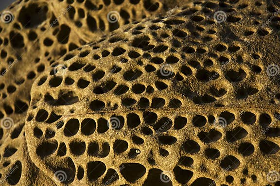 Rocce porose immagine stock. Immagine di straniero, rientranza - 3079579