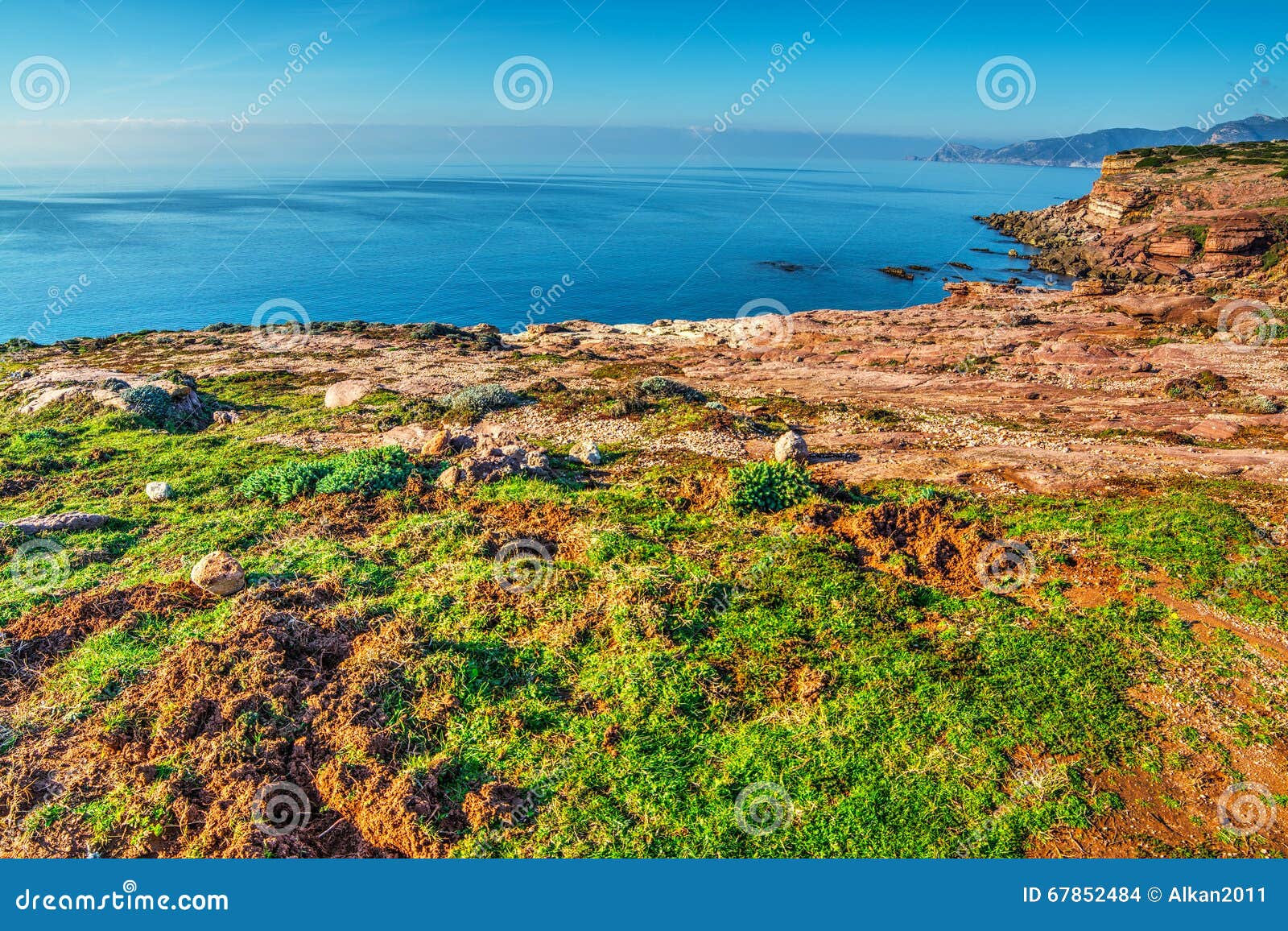 Rocce Rosse E Piante Verdi Dal Mare Fotografia Stock - Immagine di ...