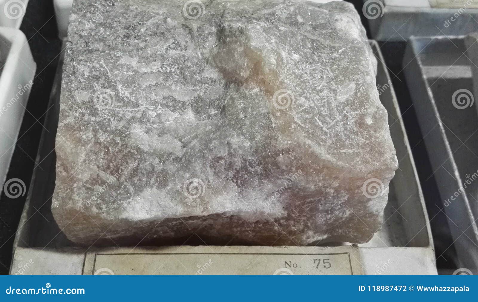 Rocce Sedimentarie Della Selce Cornea Fotografia Stock - Immagine di ...