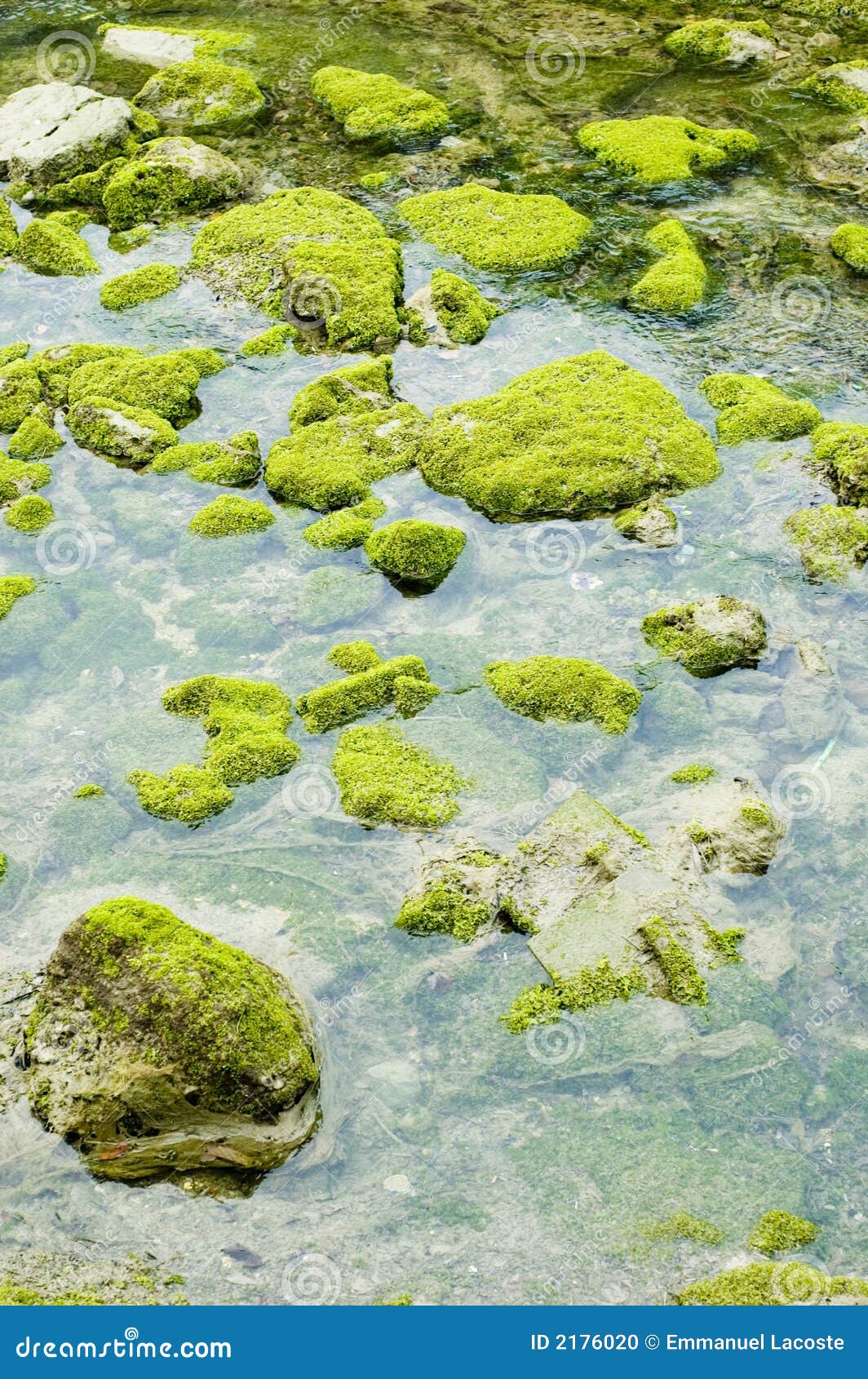 Rocce verdi fotografia stock. Immagine di fiume, roccia - 2176020