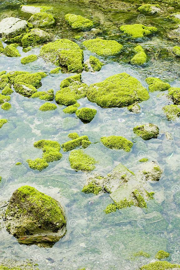 Rocce verdi fotografia stock. Immagine di fiume, roccia - 2176020