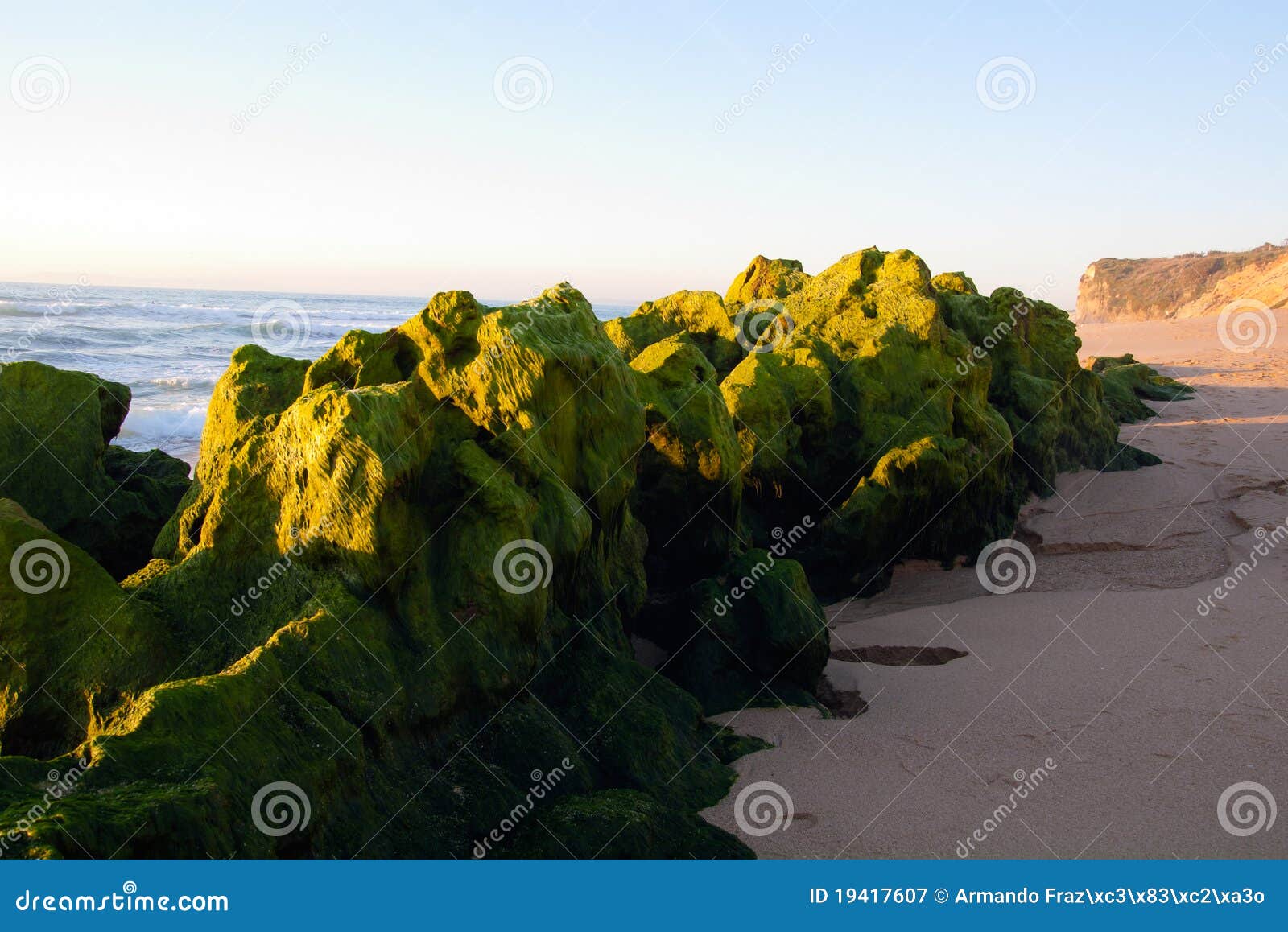 Rocce verdi della spiaggia immagine stock. Immagine di litorale - 19417607