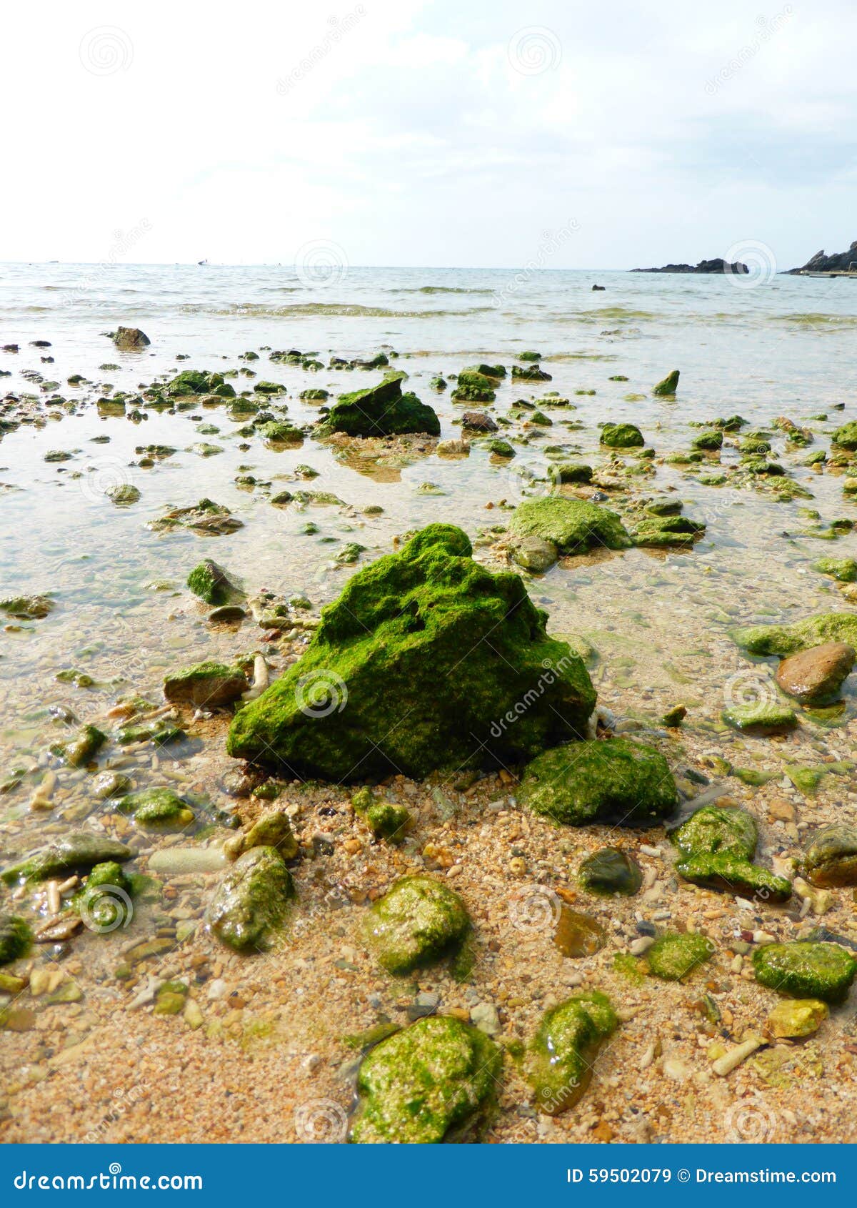 Rocce Verdi Sulla Spiaggia, Onna, Okinawa Immagine Stock - Immagine di ...