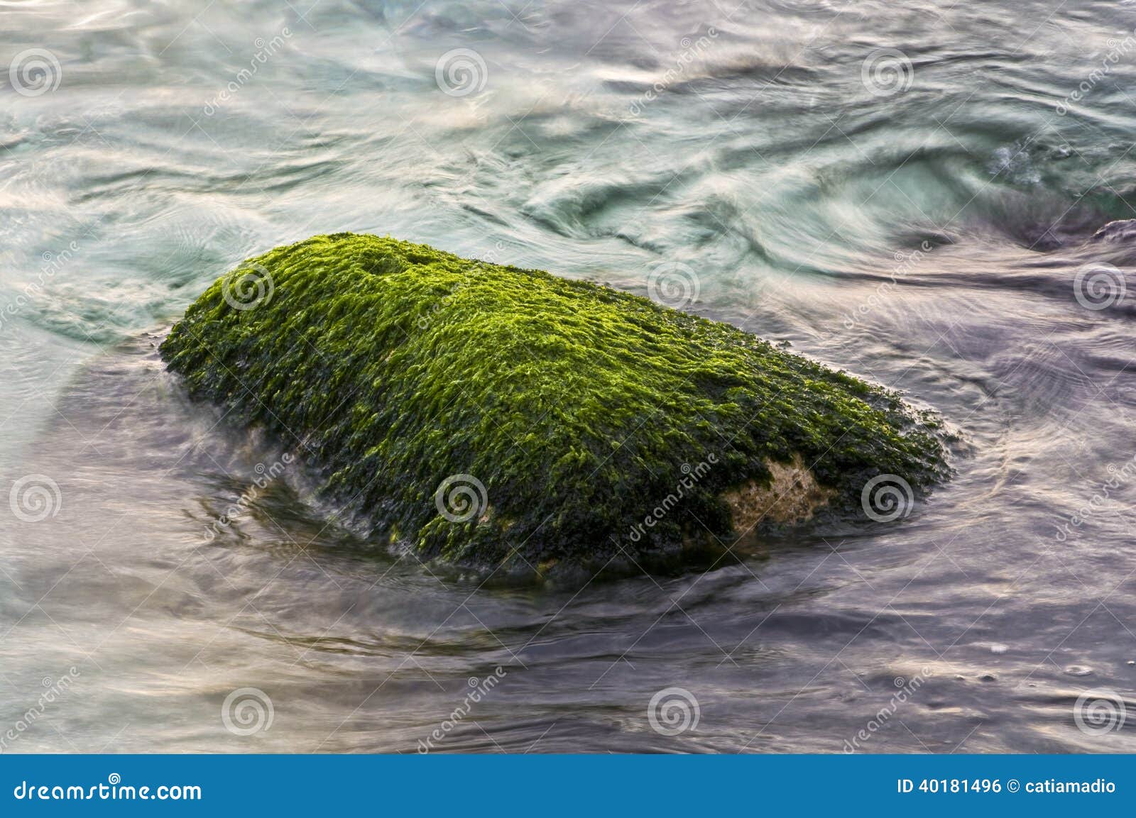 Rocha Verde Do Mar Do Musgo Foto de Stock - Imagem de molhado, mosca ...