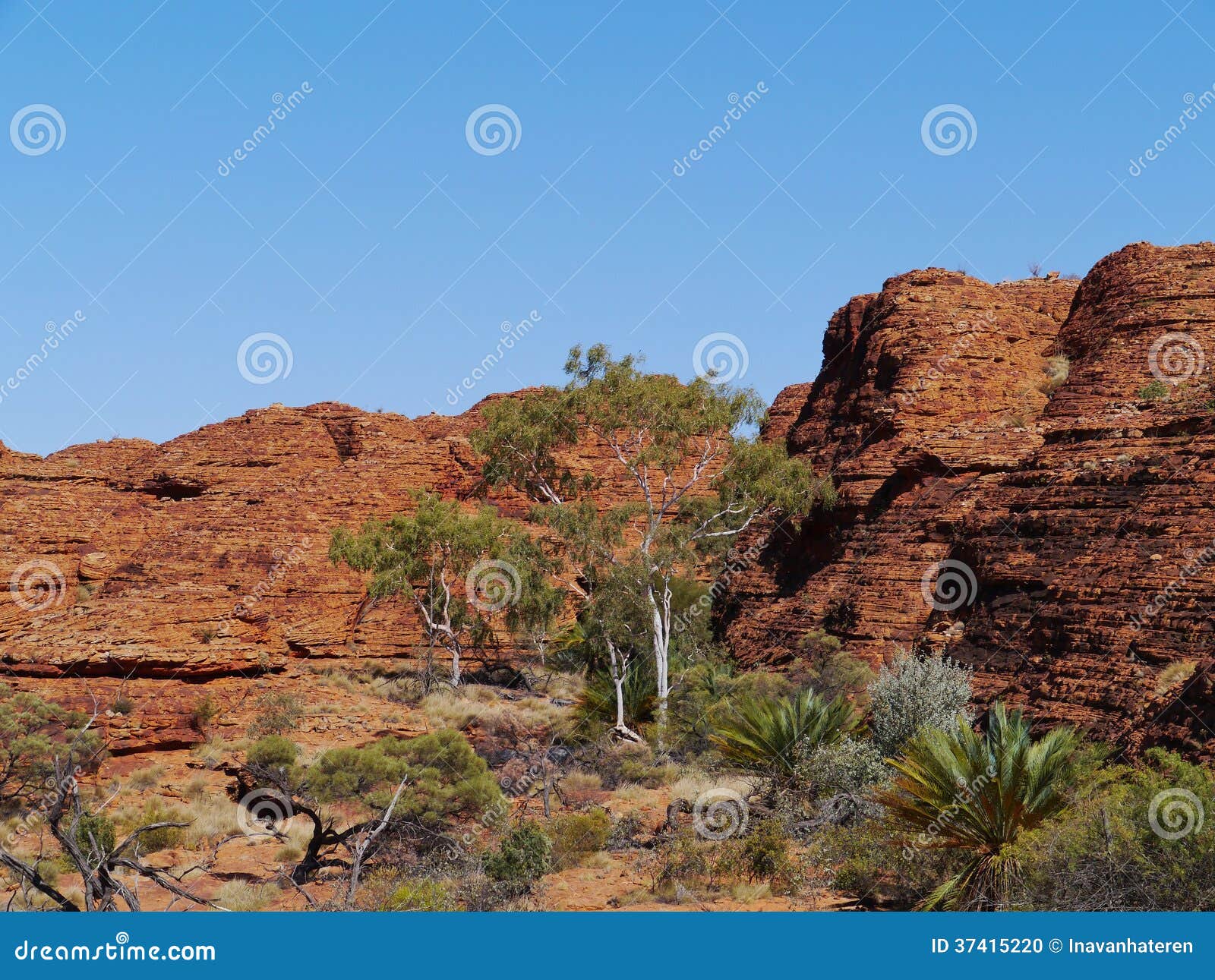 Rochas Do Arenito No Parque De Watarrka Foto de Stock - Imagem de reis ...