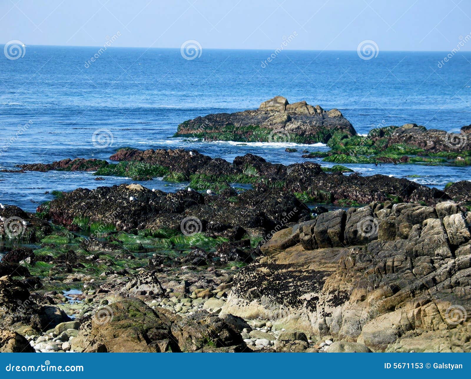 Rochas na praia do oceano imagem de stock. Imagem de rochas - 5671153