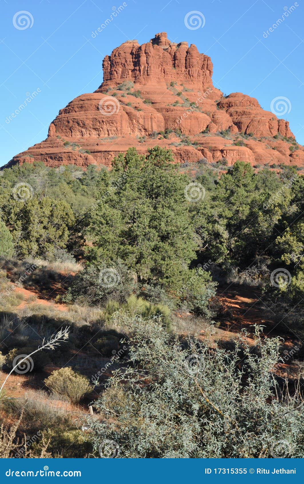 Roche De Bell Dans Sedona, Arizona Image stock - Image du formation ...