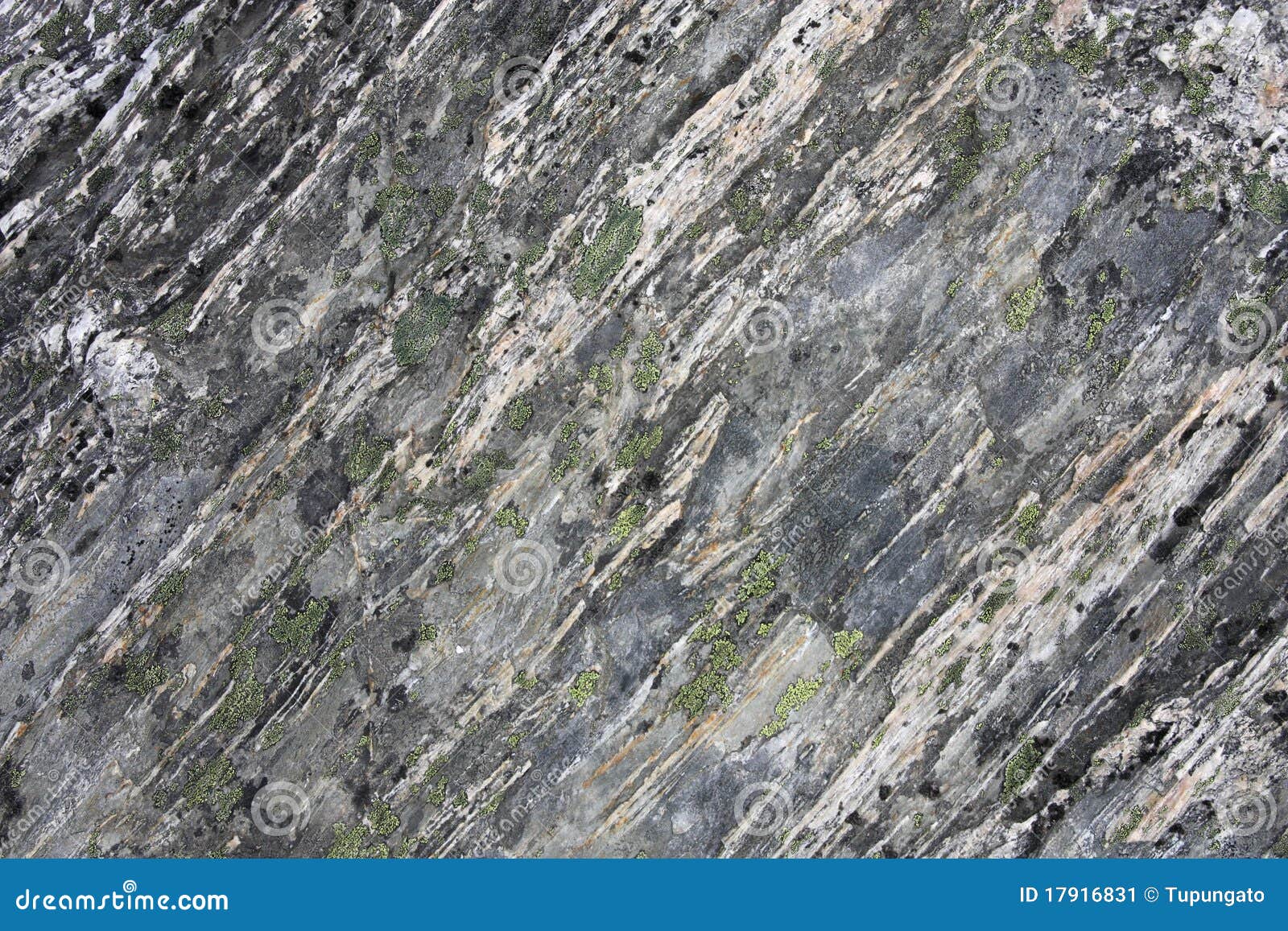Roche de gneiss image stock. Image du nature, zélande - 17916831