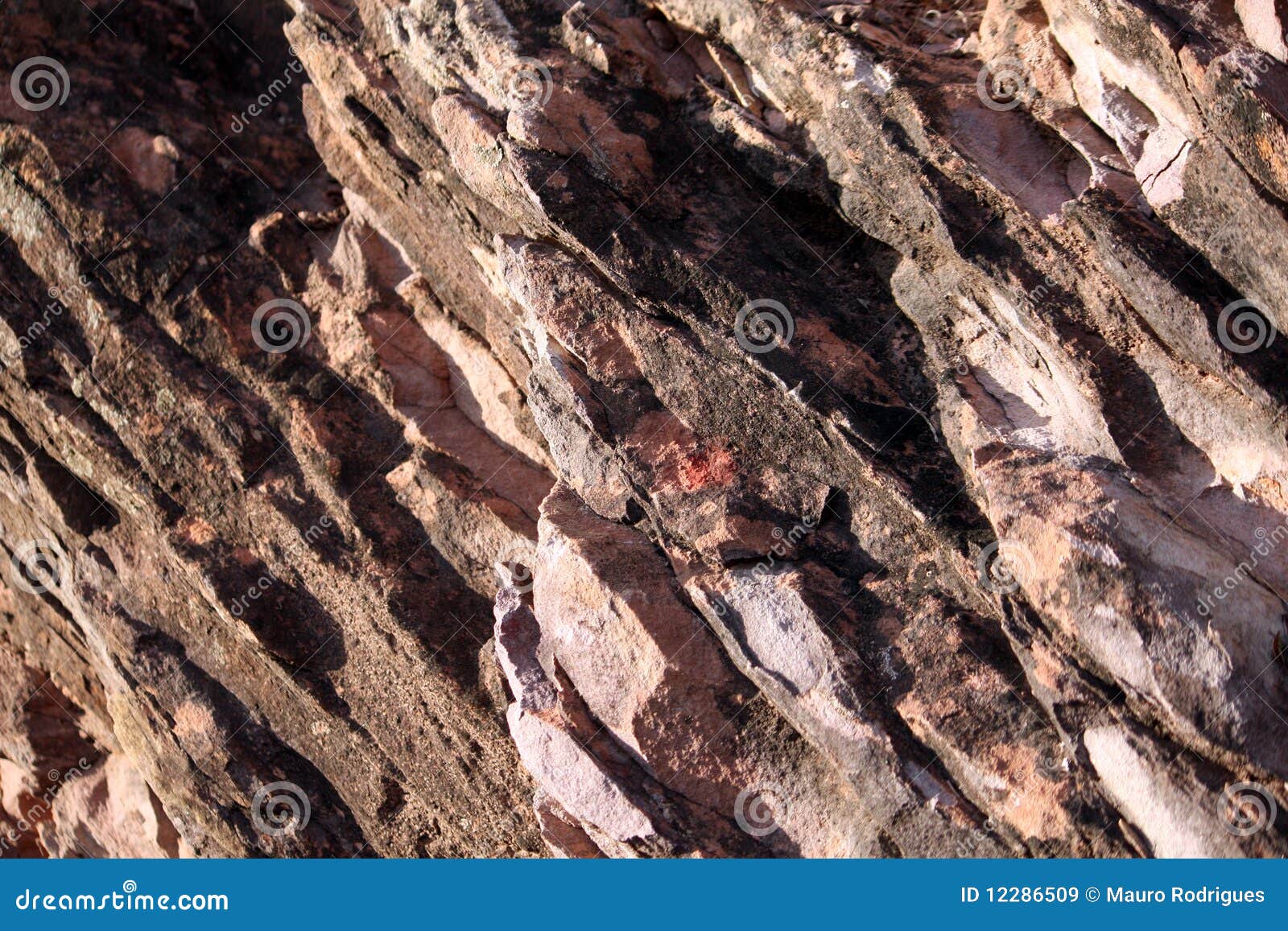 Roche de texture image stock. Image du roche, configuration - 12286509