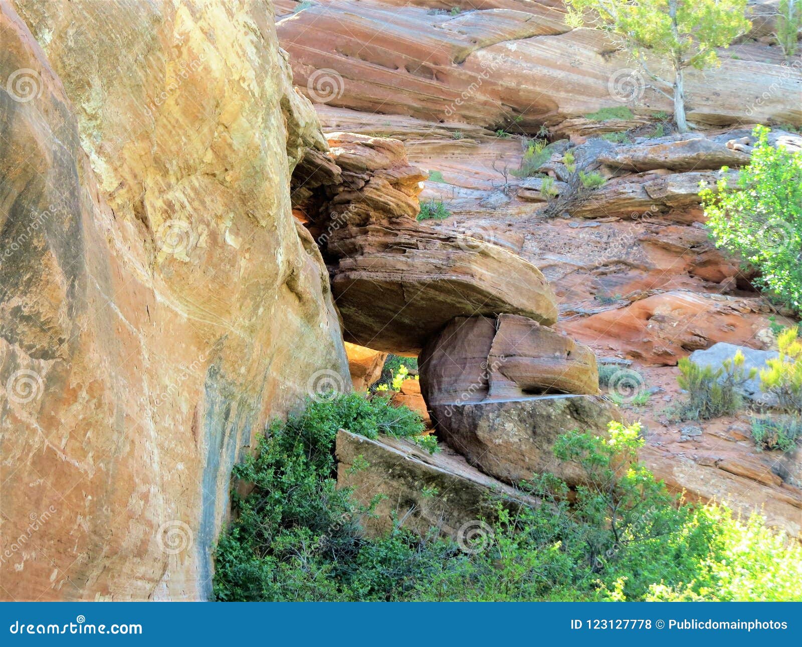 Roche, Roche En Place, Arbre, Affleurement Image. Image: 123127778