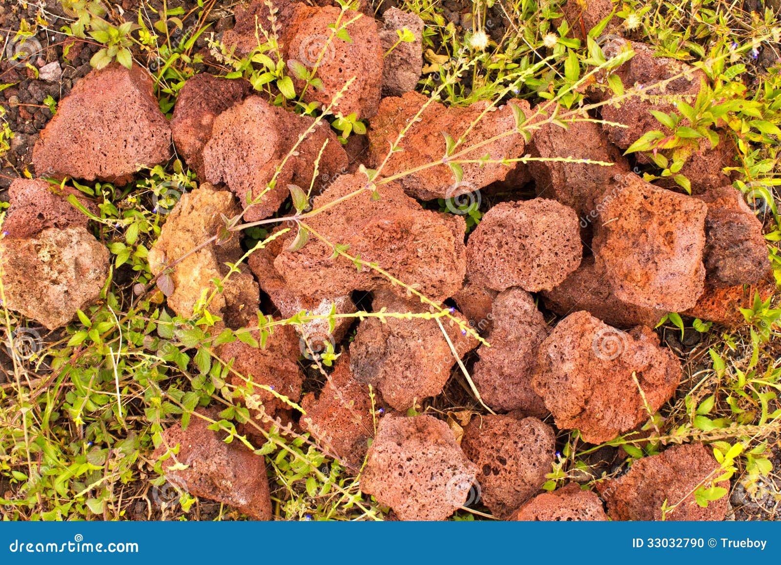 Roche volcanique rouge photo stock. Image du asie, roche - 33032790