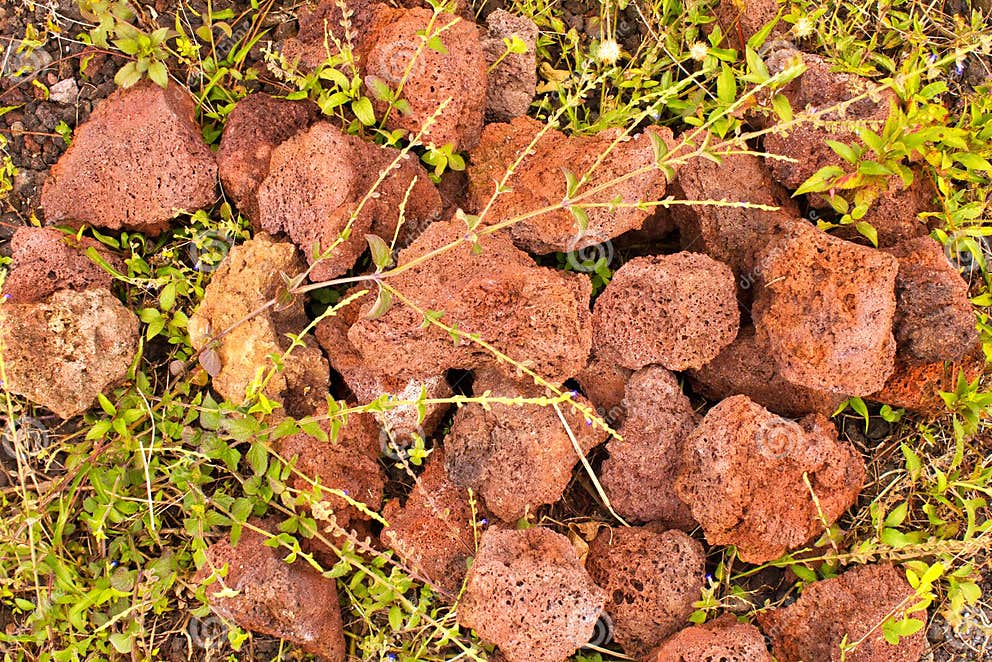 Roche volcanique rouge photo stock. Image du asie, roche - 33032790