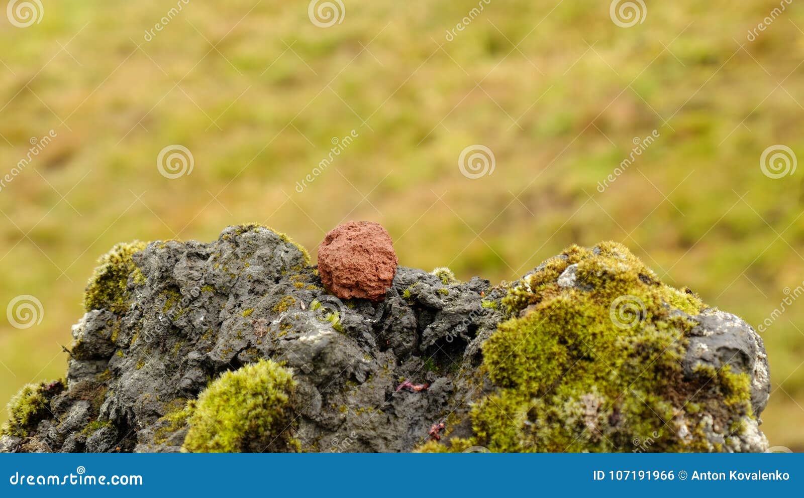 Roche Volcanique Rouge Sur La Pierre Avec De La Mousse Photo stock ...