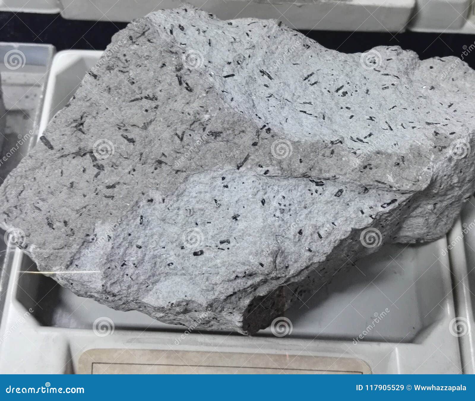 Roches Plutoniques Extrusive D'andésite De Hornblende Image stock ...