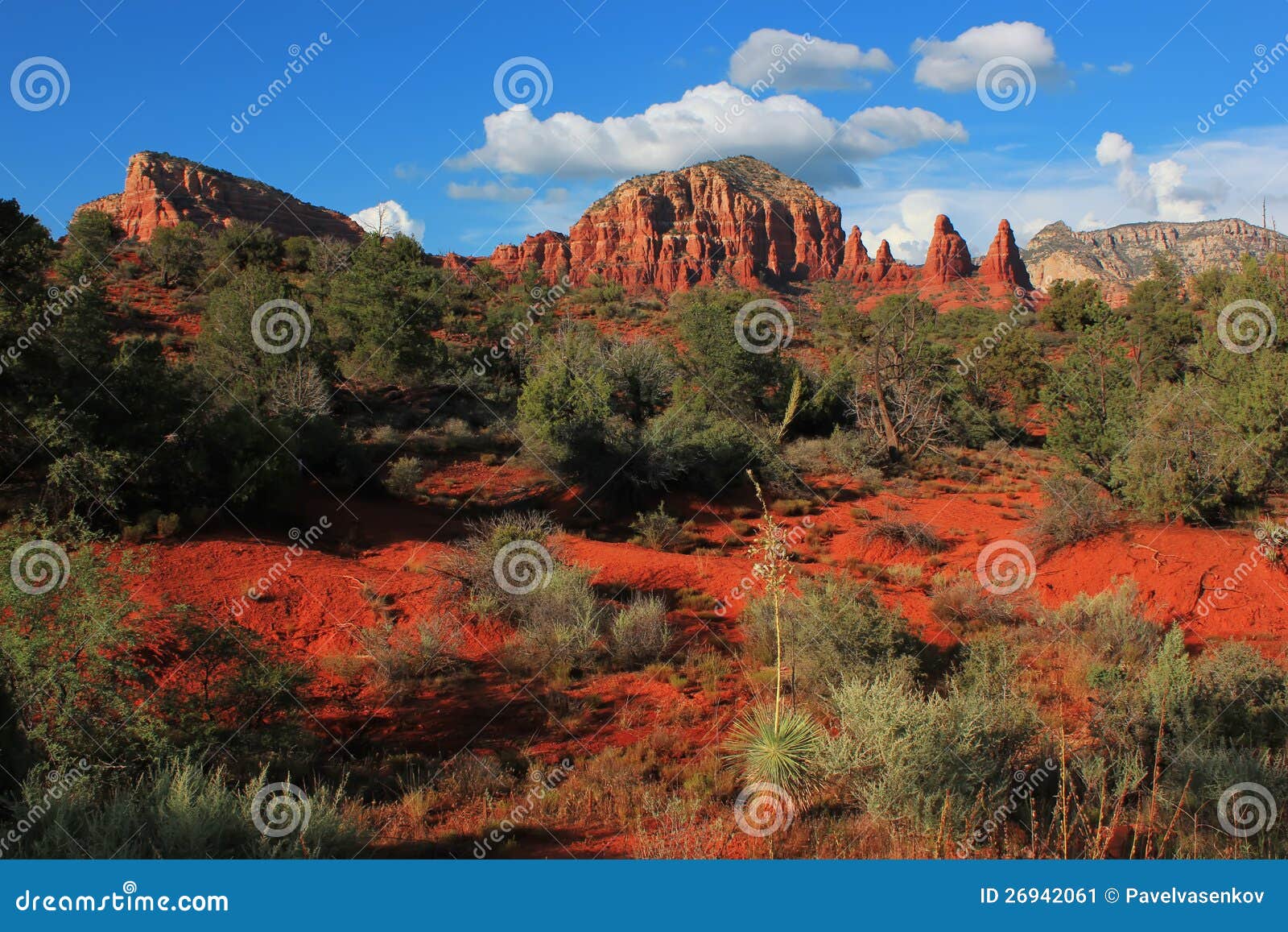 Roches Rouges, Arizona, Etats-Unis Image stock - Image du cactus, bleu ...
