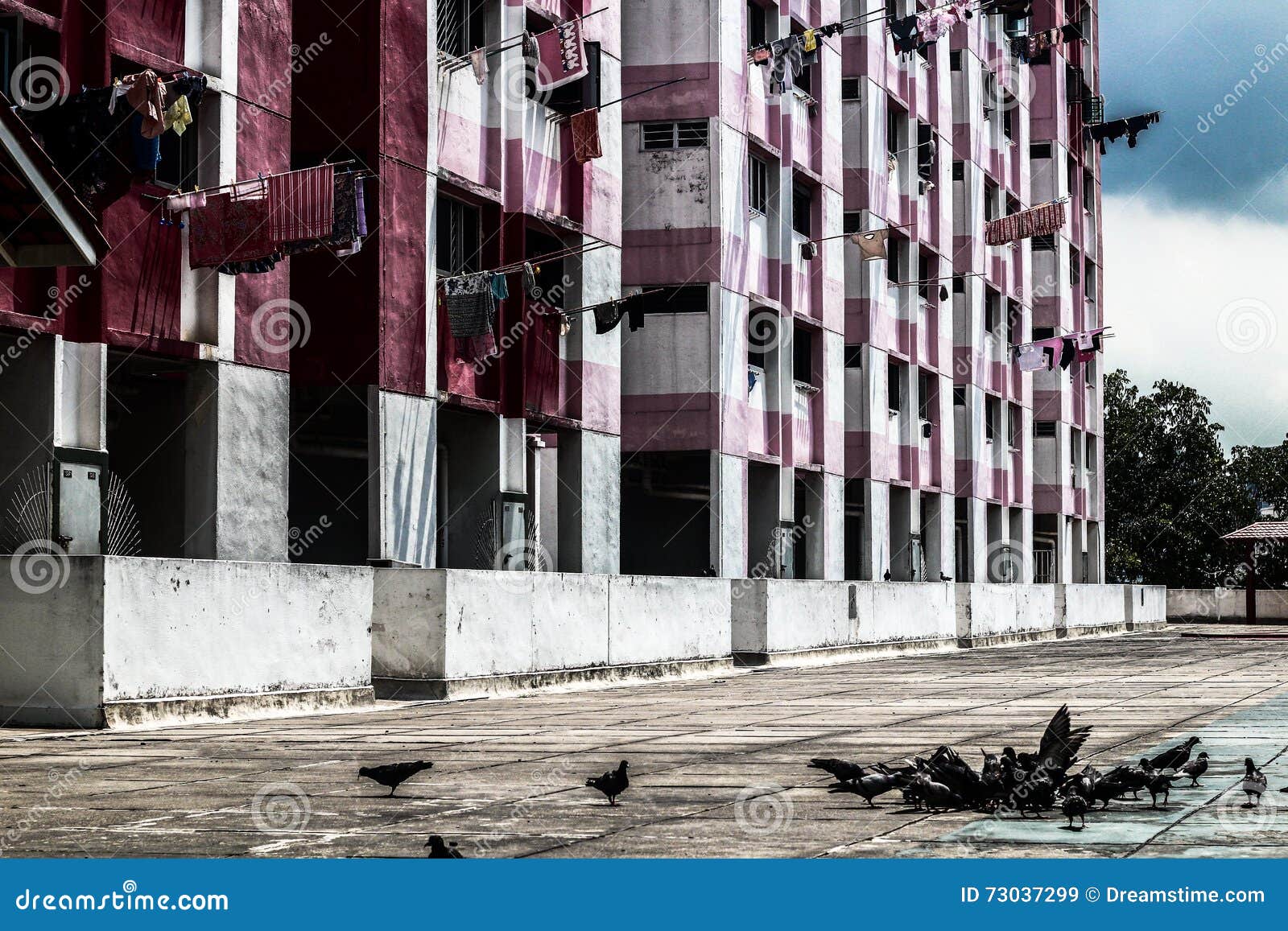 Rochor Building editorial stock image. Image of centre - 73037299