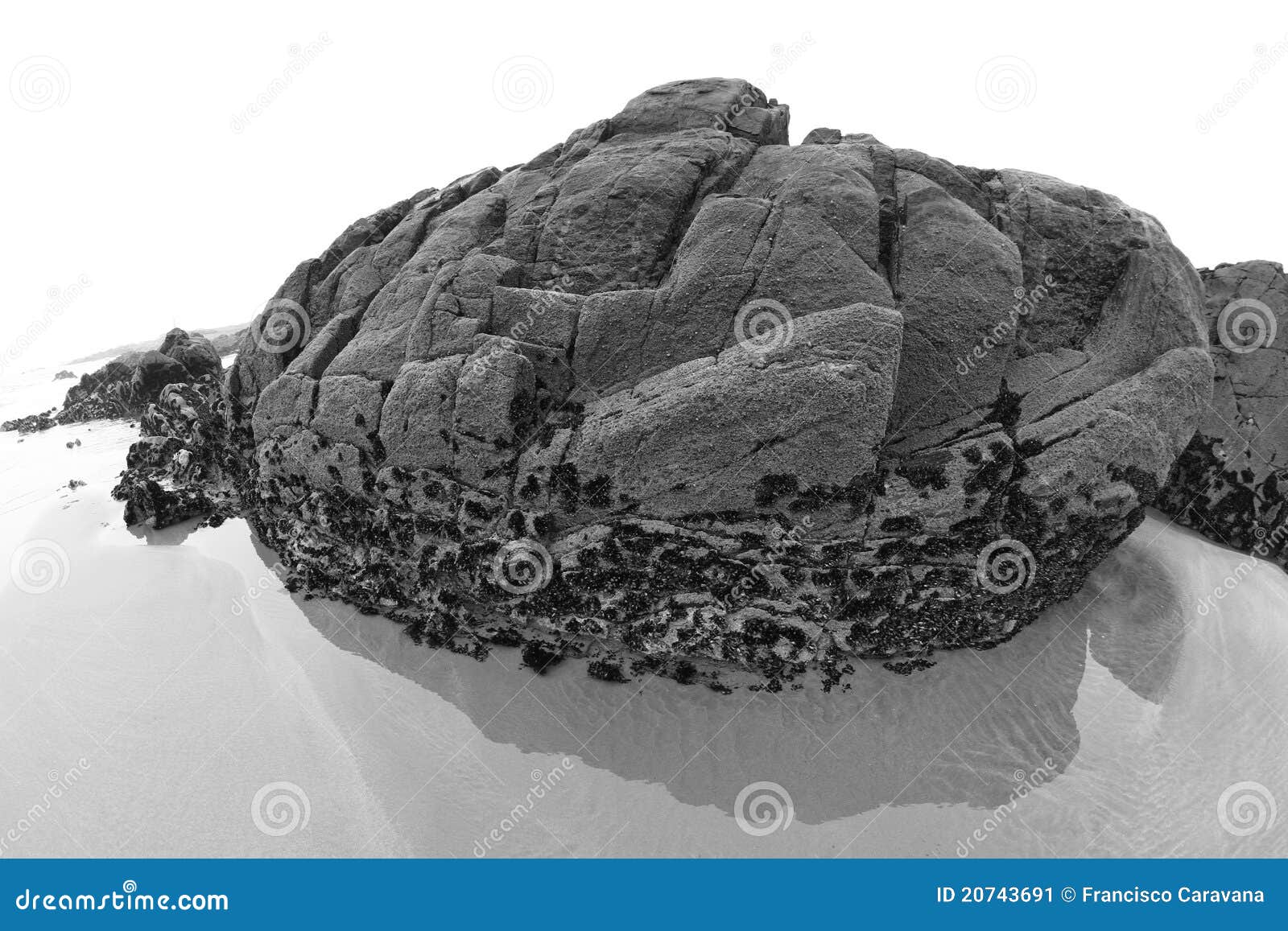 Rock stock image. Image of algae, humid, natural, strong - 20743691